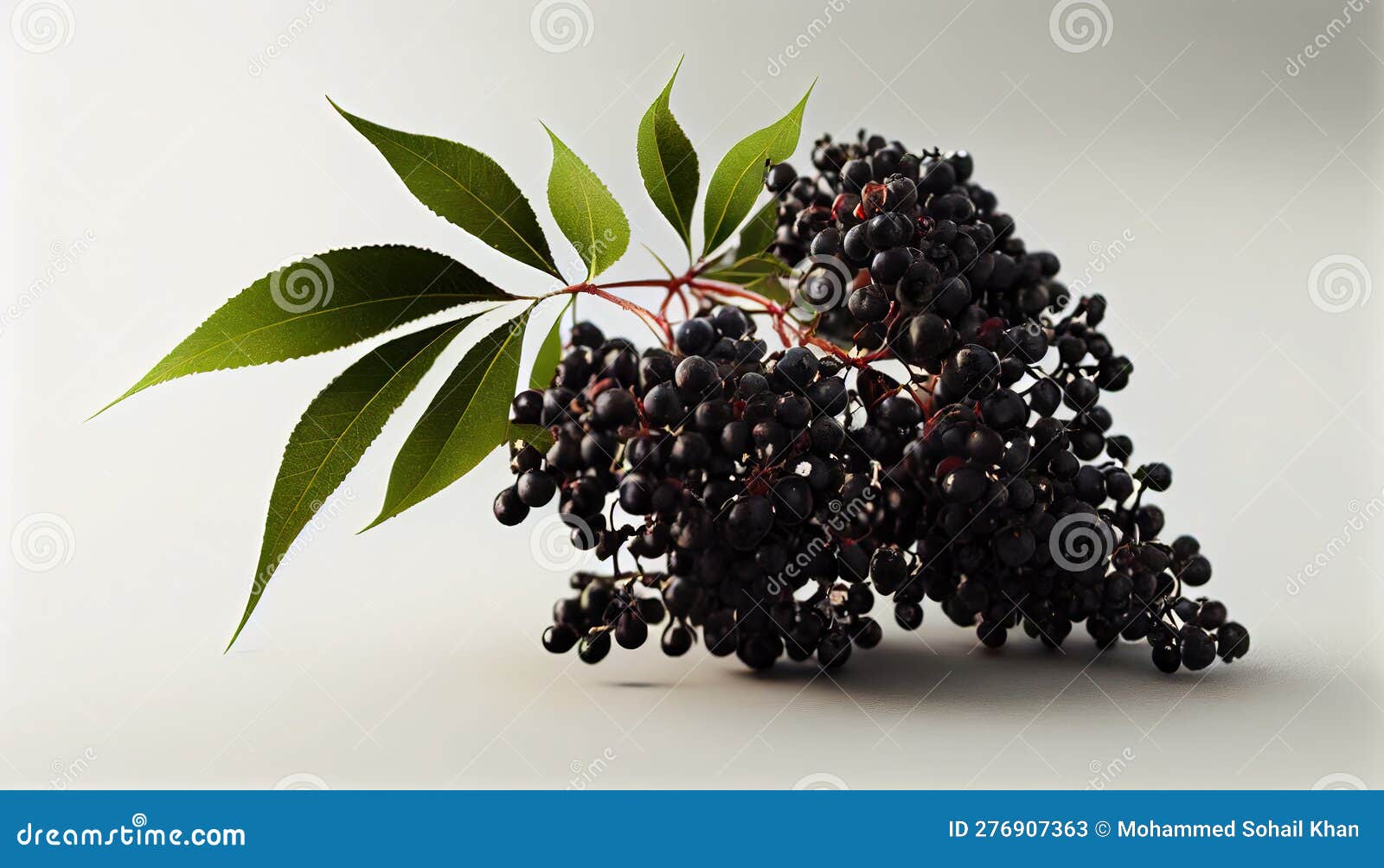 Bunch of Fresh Elderberry Fruit on White Background AI Generative Stock ...