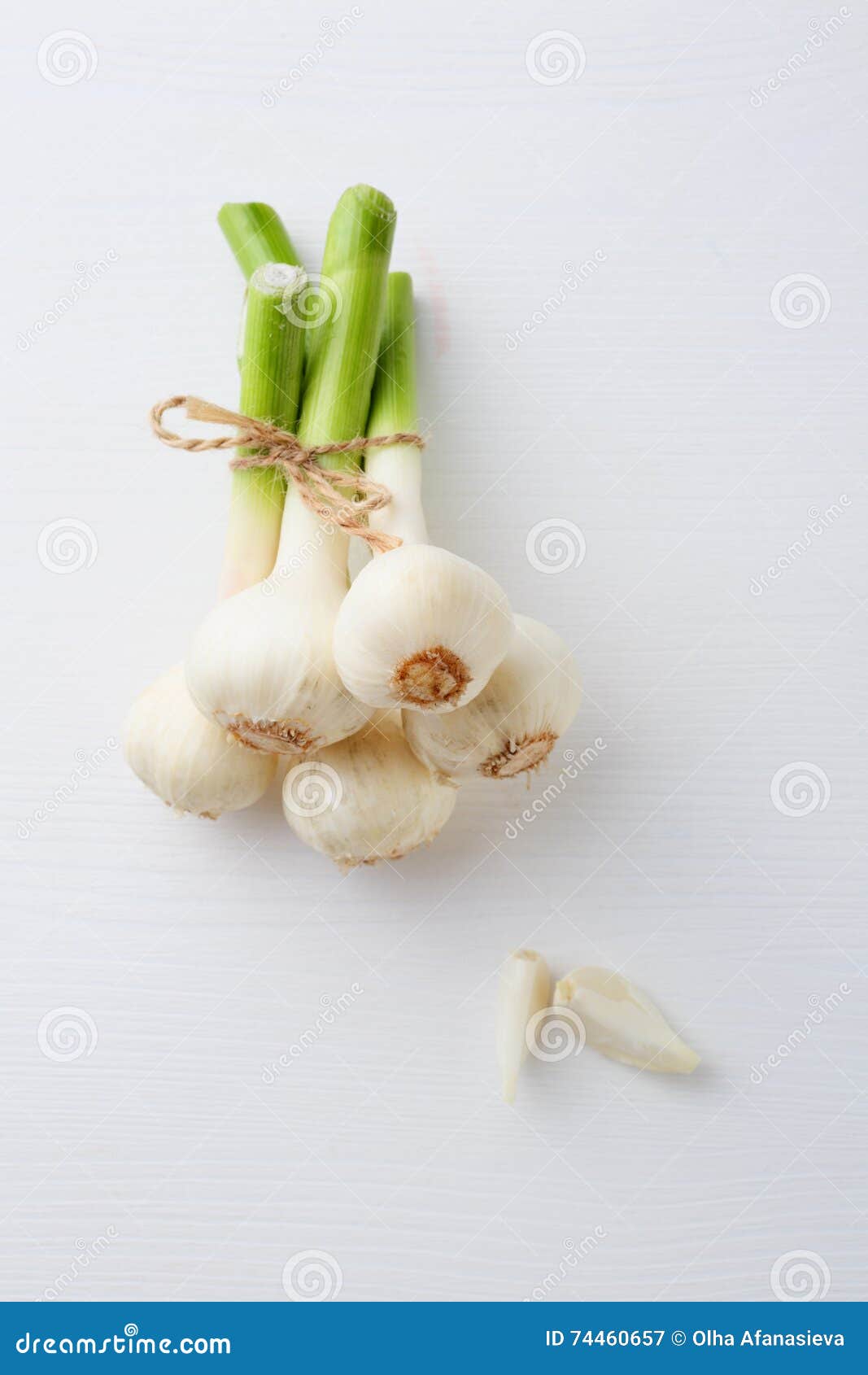 Bunch of fresh garlic stock image. Image of green, group - 74460657