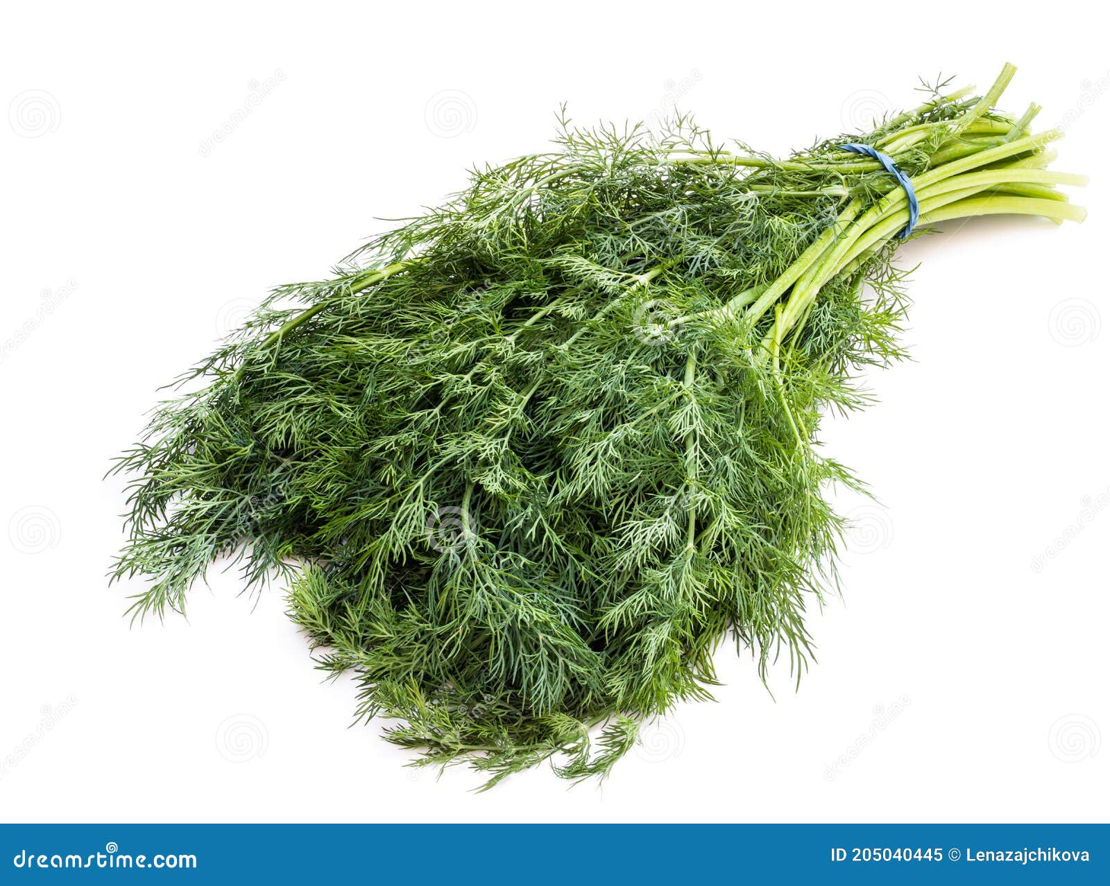 Bunch of Fresh Green Dill Isolated on White Stock Image - Image of ...