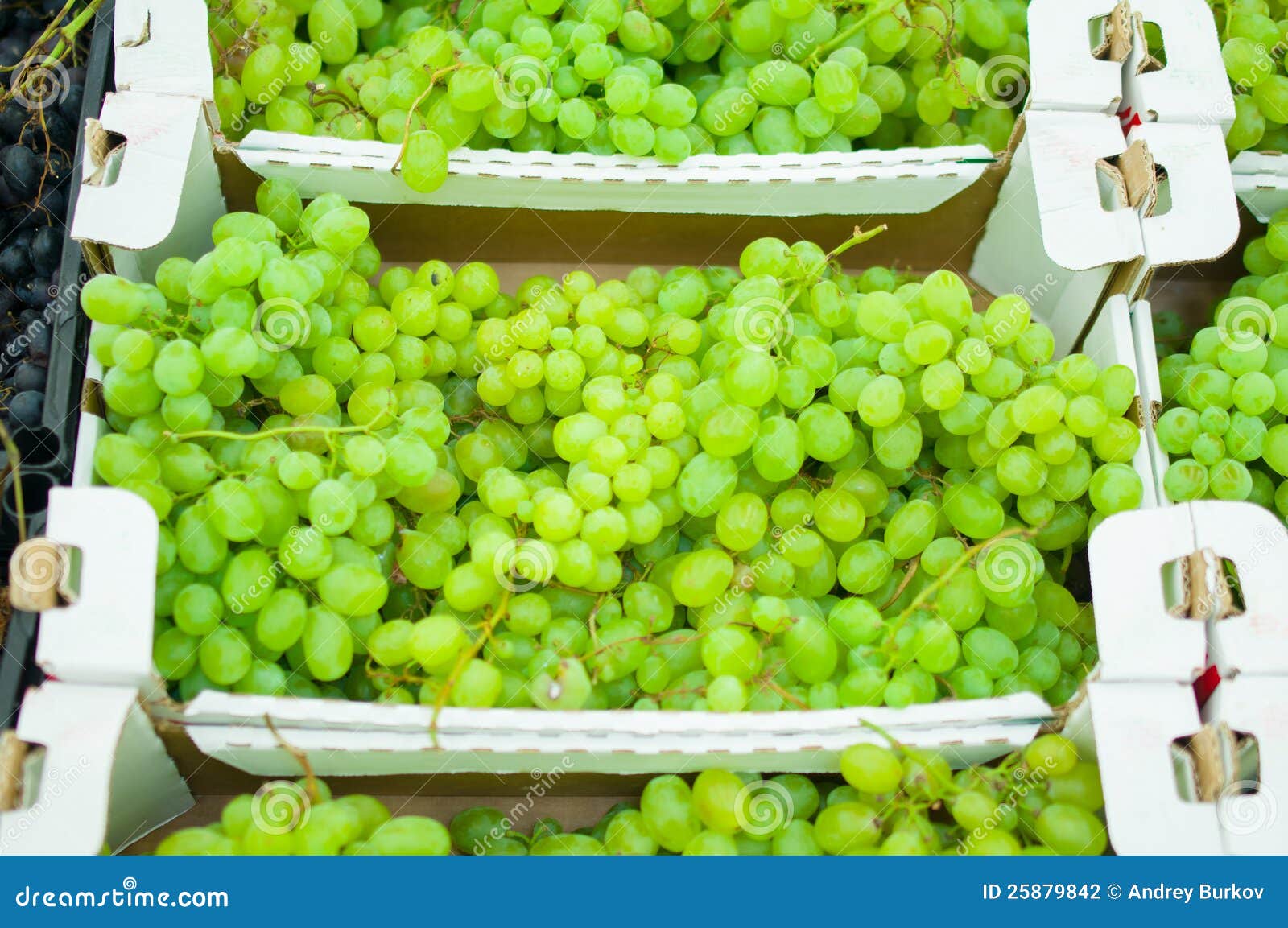 Bunch of Fresh Green Grape in Boxes Stock Photo - Image of trolley ...