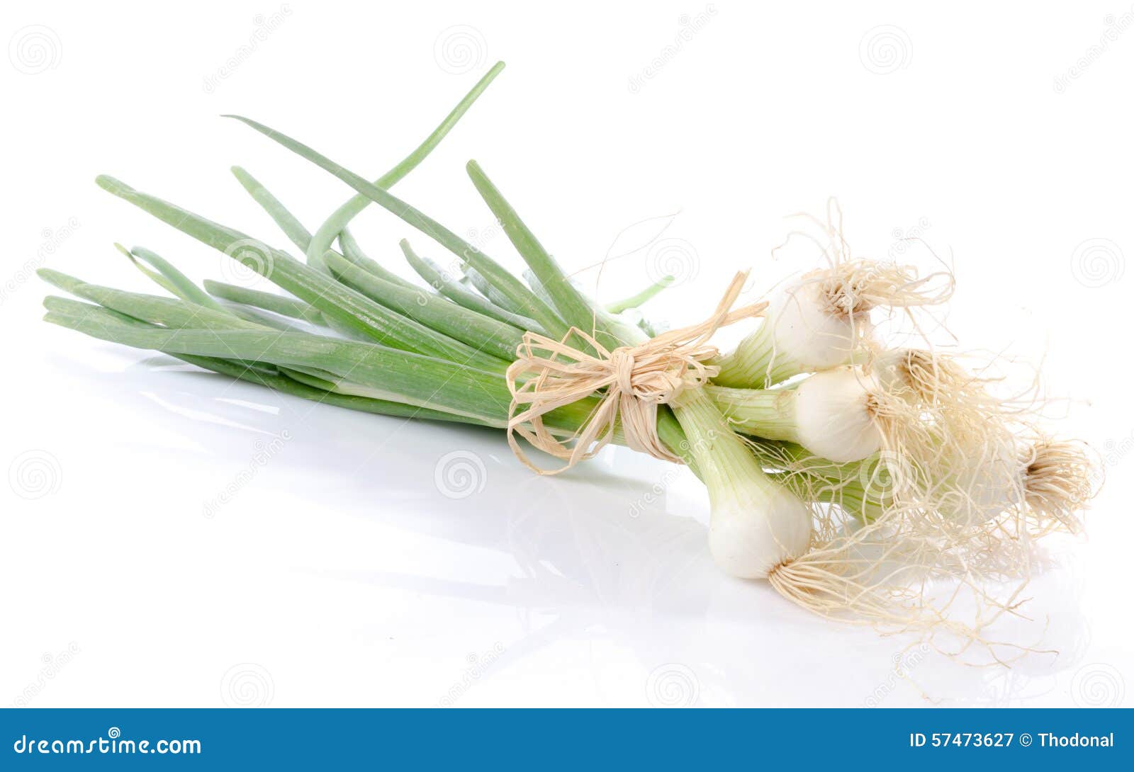 Bunch of Fresh Green Onions Stock Image - Image of food, eating: 57473627
