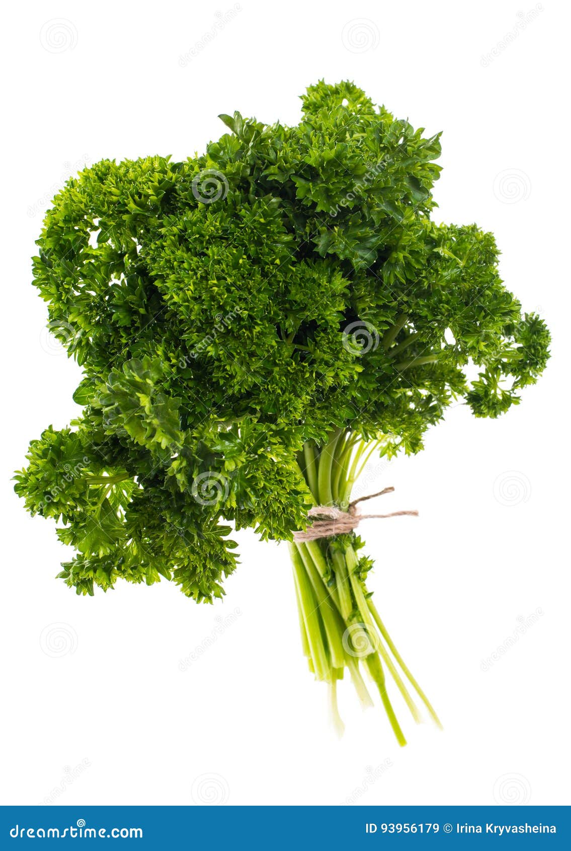 A Bunch of Fresh Green Parsley on White Background Stock Image - Image ...
