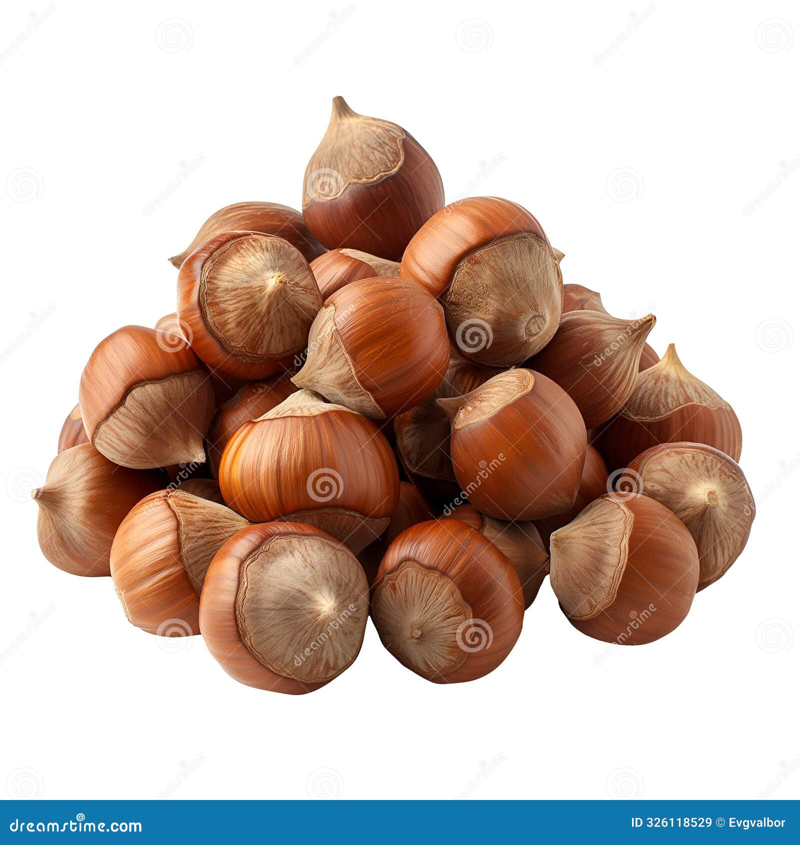 A Bunch of Fresh Hazelnuts in a Shell on a White Empty Transparent ...