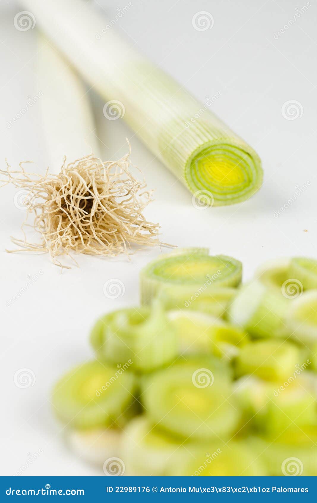 Bunch of fresh leeks stock photo. Image of healthy, closeup - 22989176