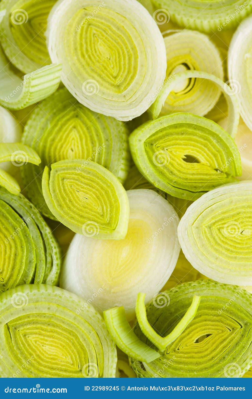 Bunch of fresh leeks stock image. Image of harvest, leek - 22989245
