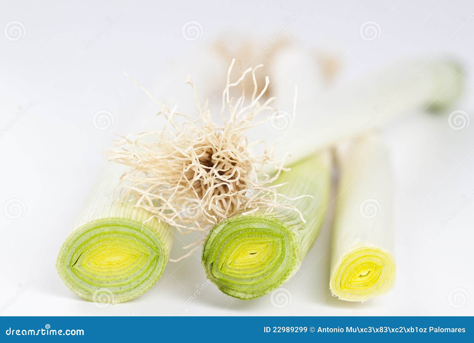 Bunch of fresh leeks stock image. Image of agriculture - 22989299