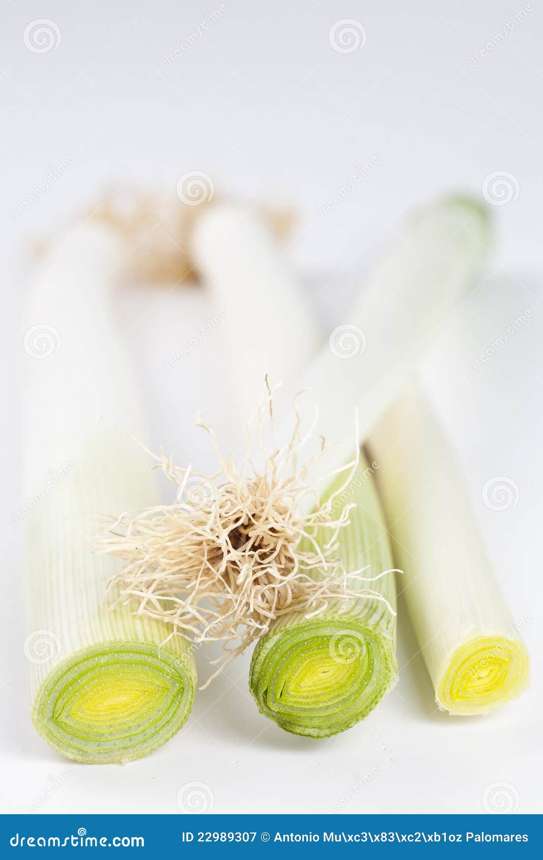 Bunch of fresh leeks stock image. Image of leaf, cuisine - 22989307