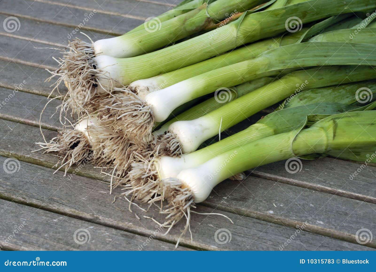 Bunch of Fresh Leeks Produce Stock Image - Image of leeks, nutritious ...