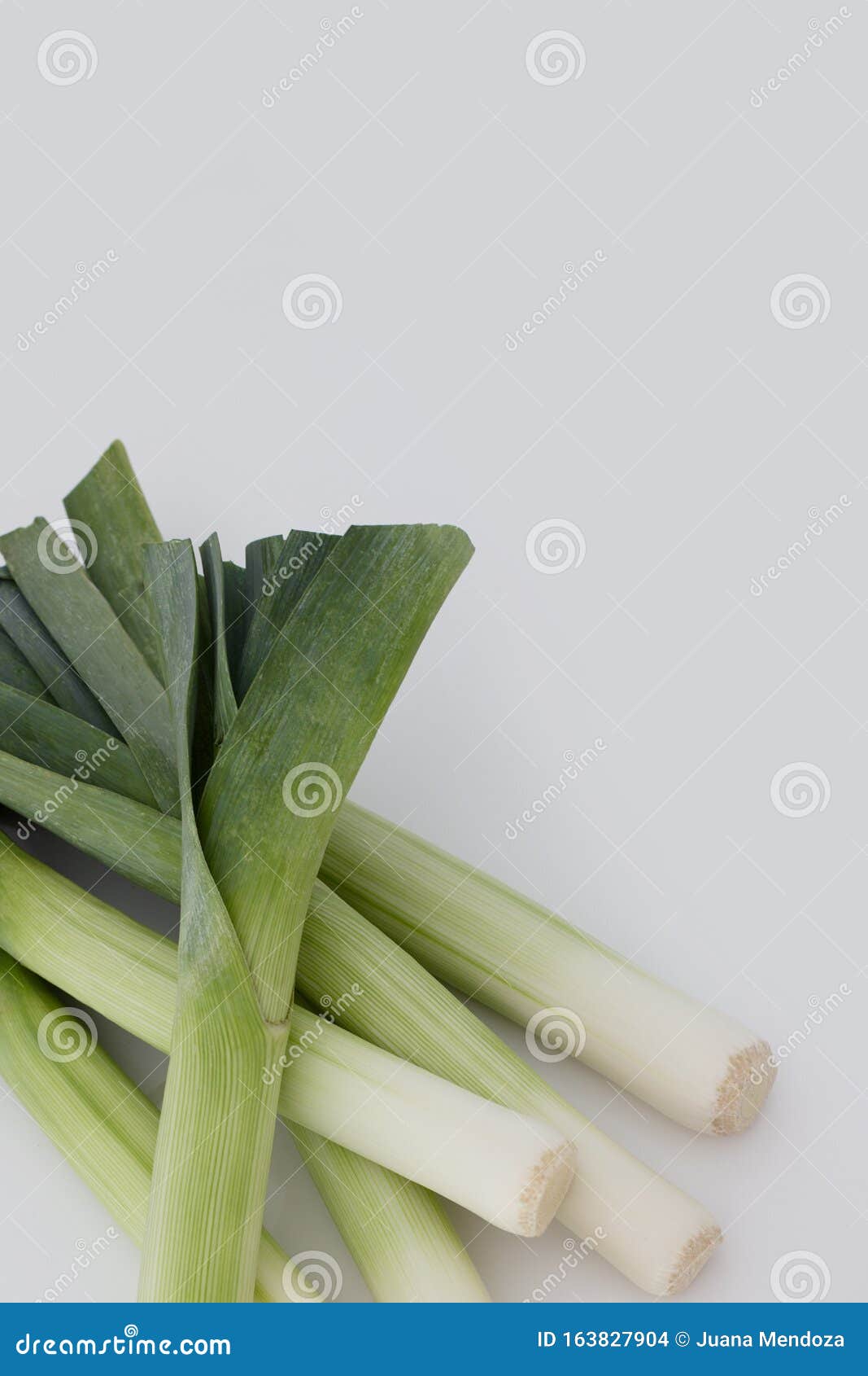 Bunch Of Fresh Leeks In A White Background. Top Logo Design Stock Photo ...