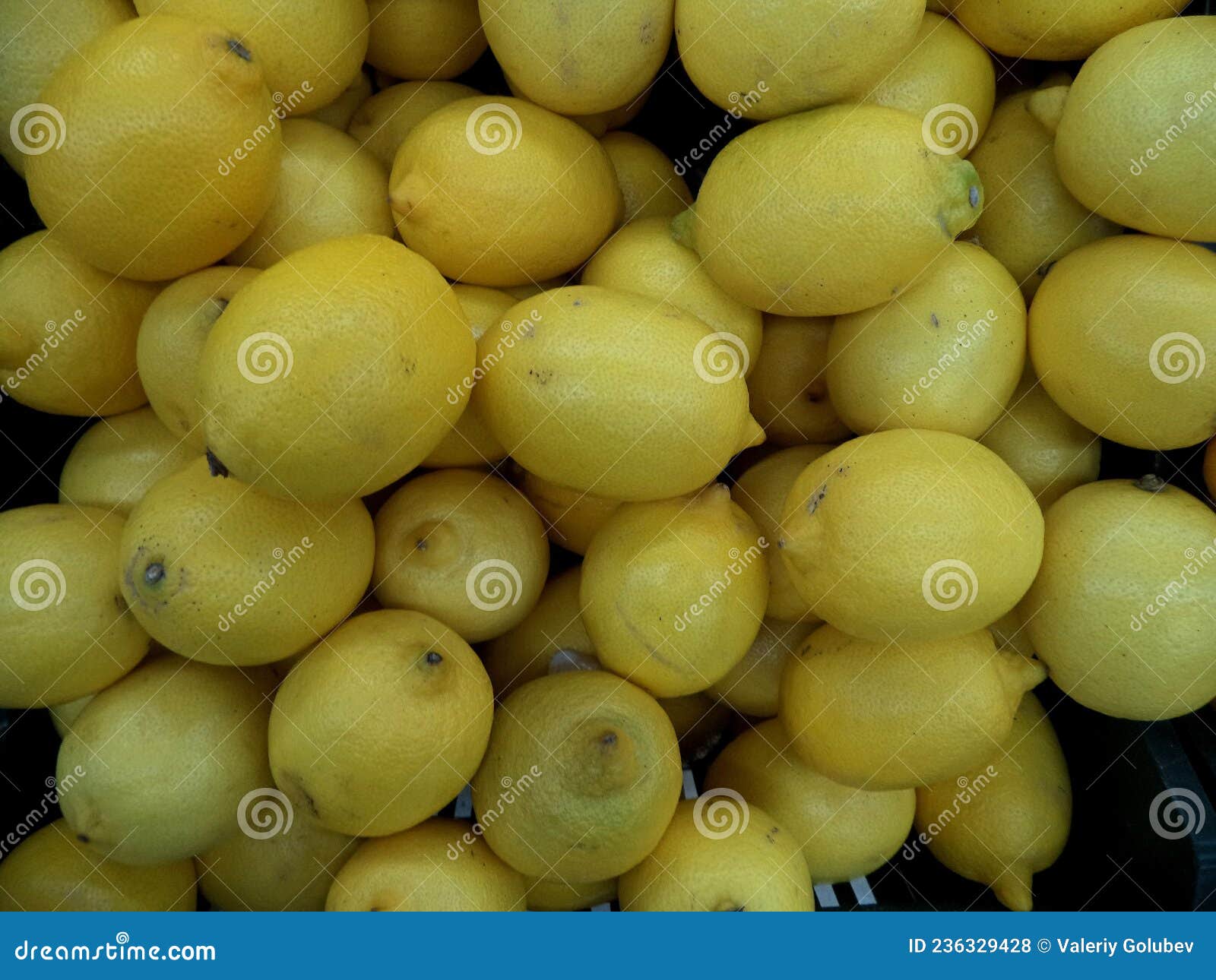 A Bunch of Fresh Lemons on the Counter in the Store Stock Photo - Image ...