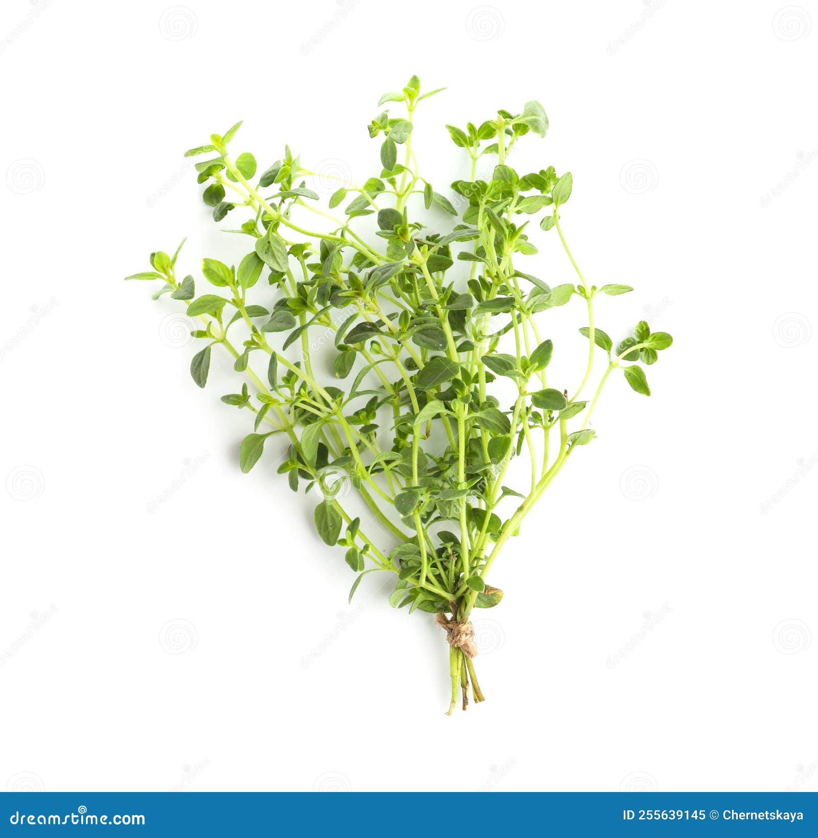 Bunch of Fresh Marjoram Leaves on White Background, Top View Stock ...