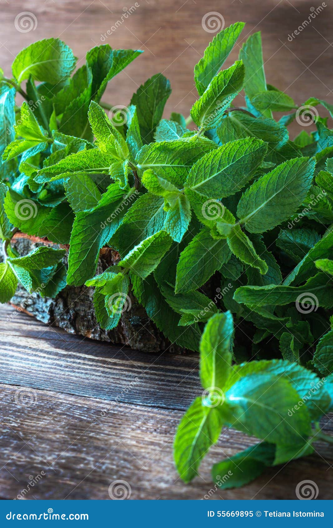 Bunch of Fresh Mint on the Board Stock Image - Image of leaves, leaf ...
