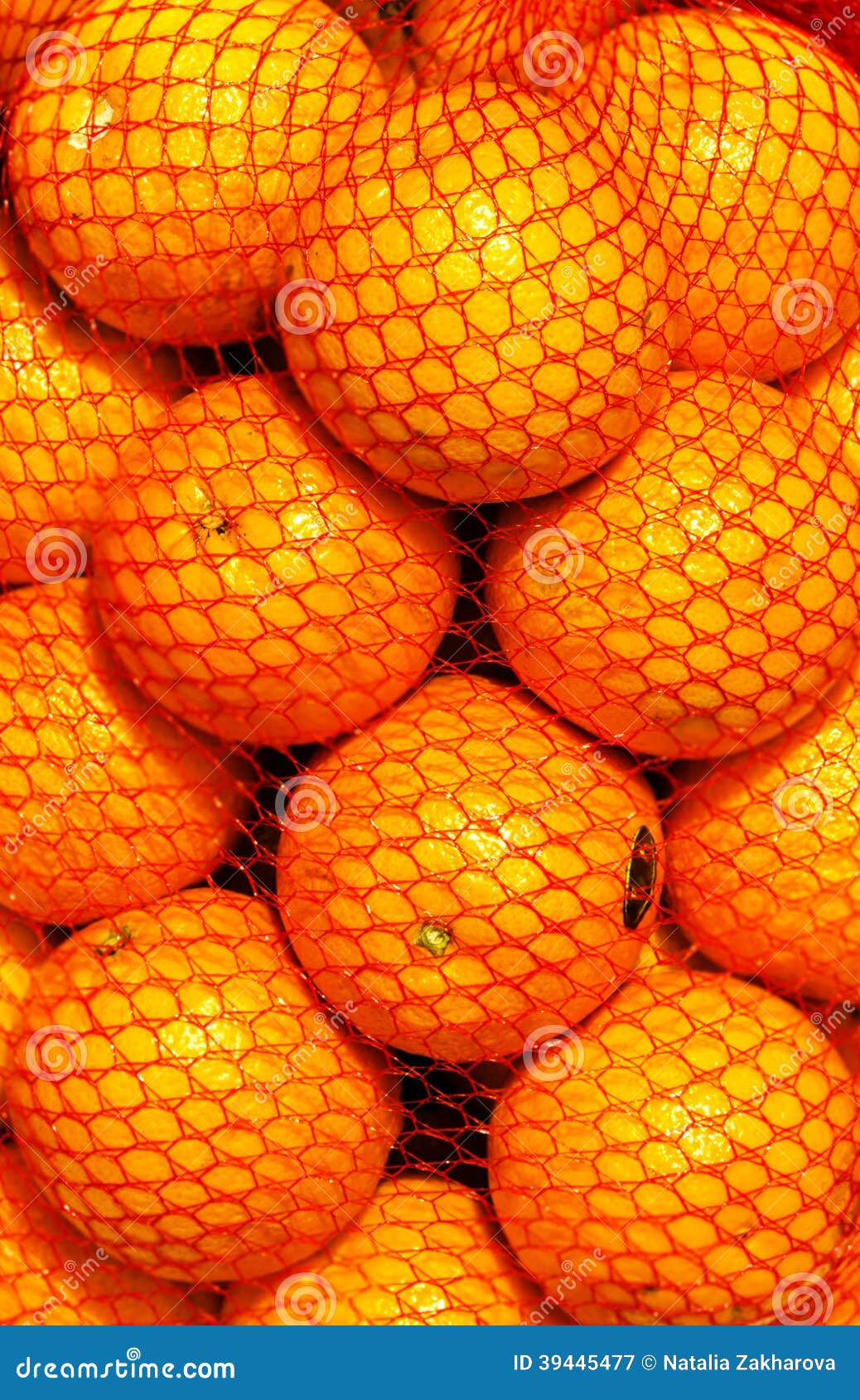 Bunch of Fresh Orange Fruits in a String Bag Stock Image - Image of ...