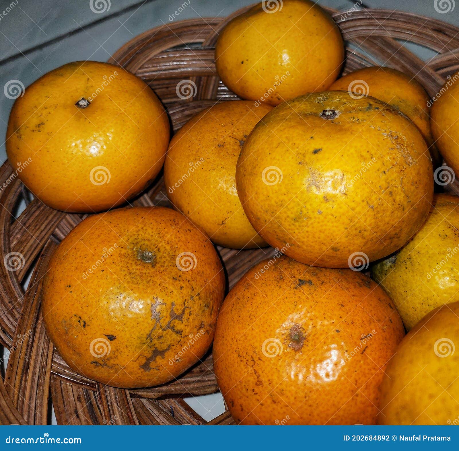 A bunch of fresh oranges stock photo. Image of fruit - 202684892