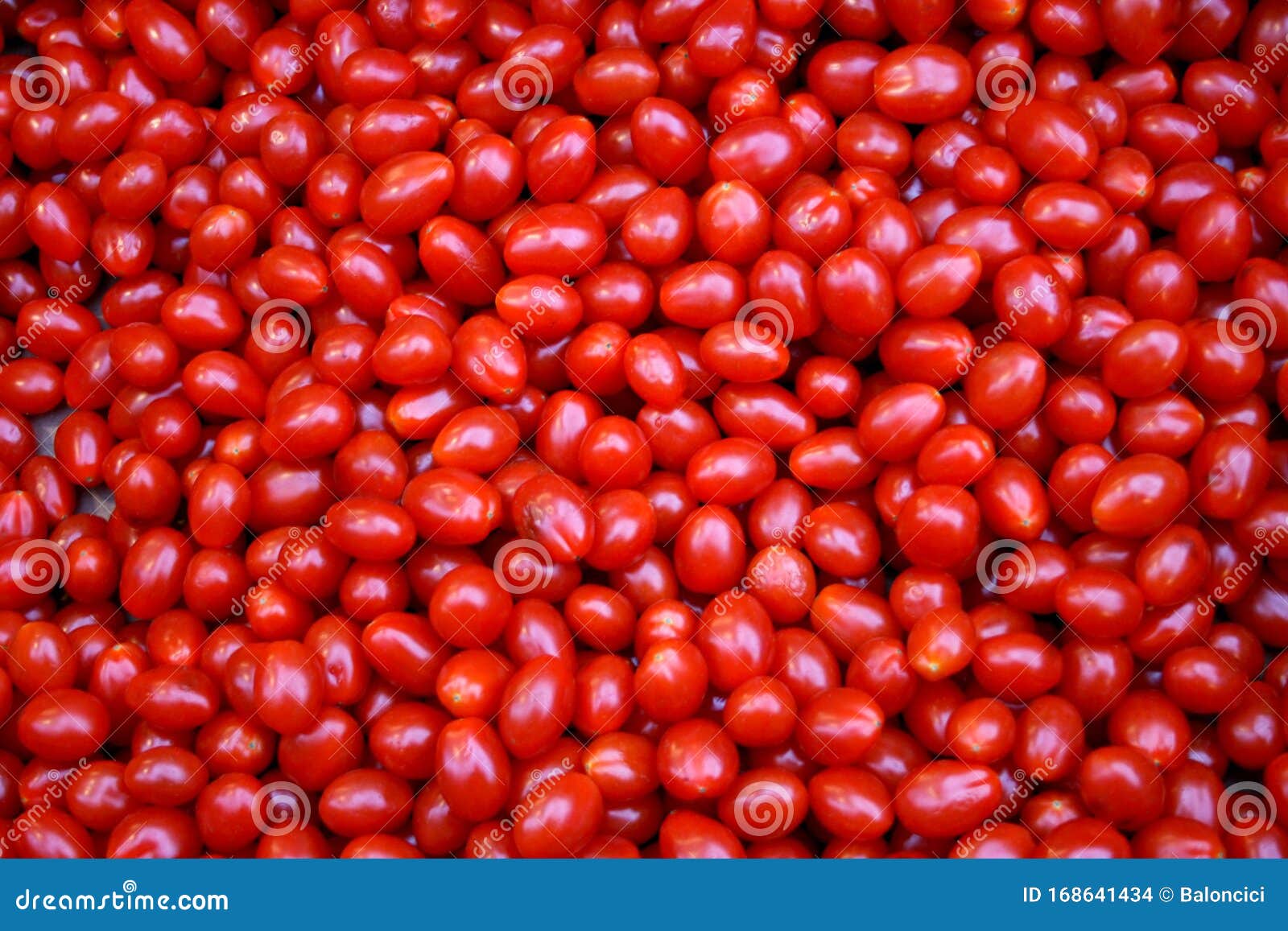 Sweet brier stock photo. Image of healty, fruit, berry - 168641434