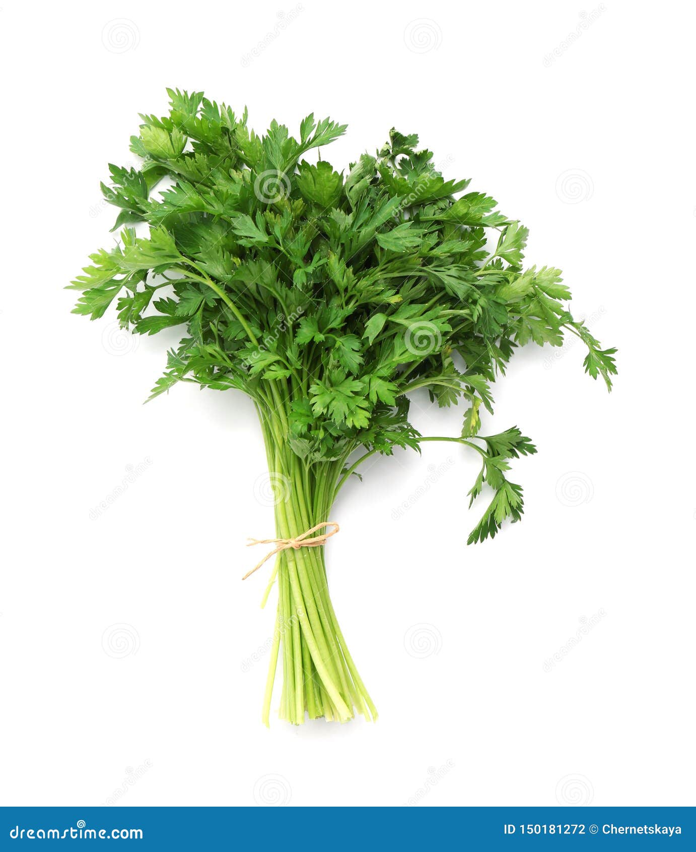 Bunch of Fresh Parsley Isolated on White Stock Photo - Image of ...