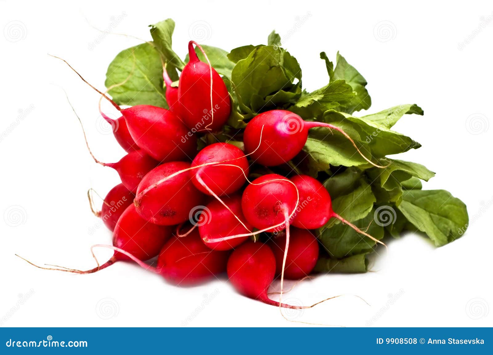 Bunch of fresh radish stock photo. Image of closeup, root - 9908508
