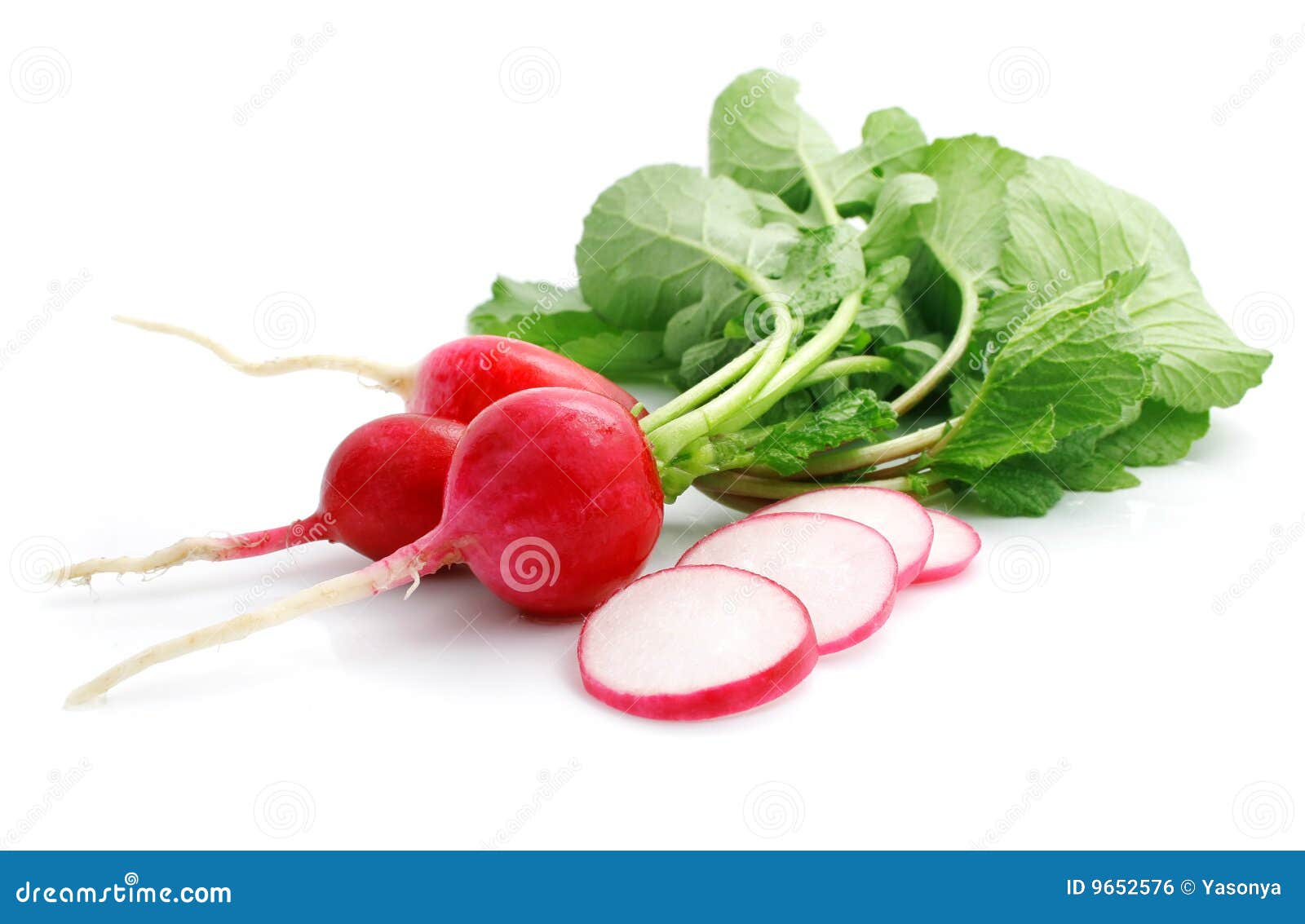 Bunch Fresh Radish with Cut Stock Photo - Image of harvest, natural ...