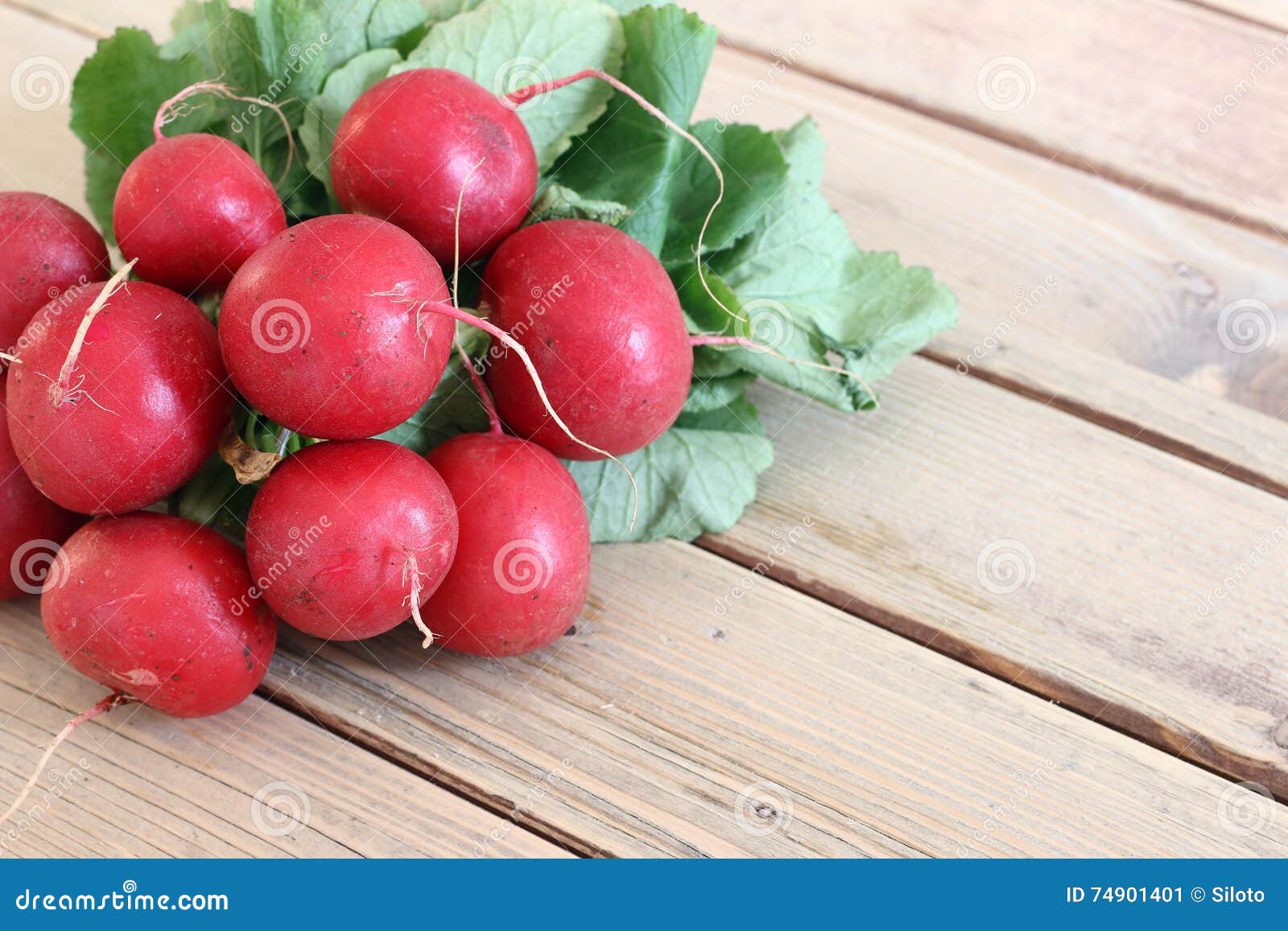 Bunch fresh radish stock image. Image of aromatic, root - 74901401