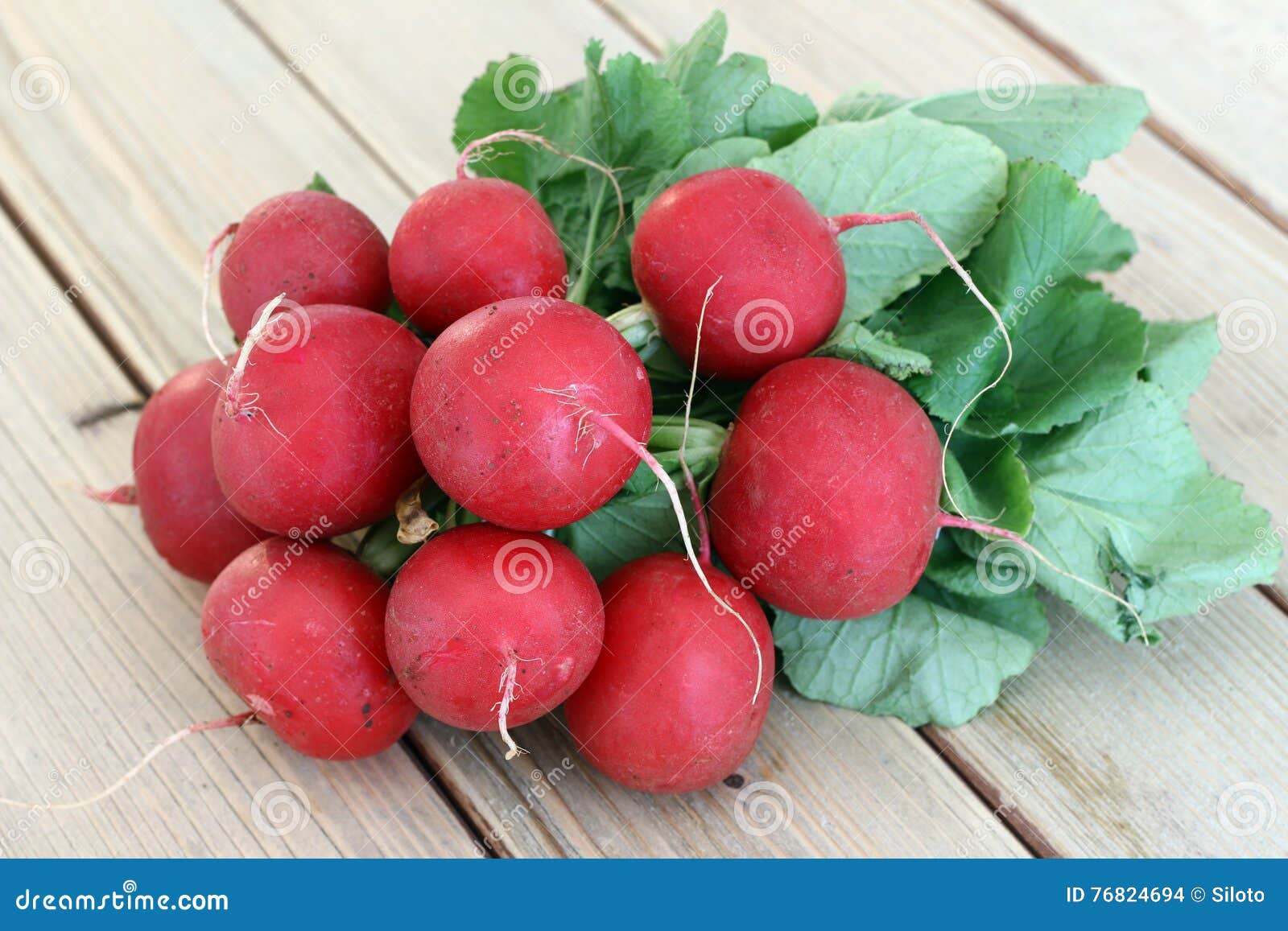 Bunch fresh radish stock photo. Image of fresh, delicacy - 76824694