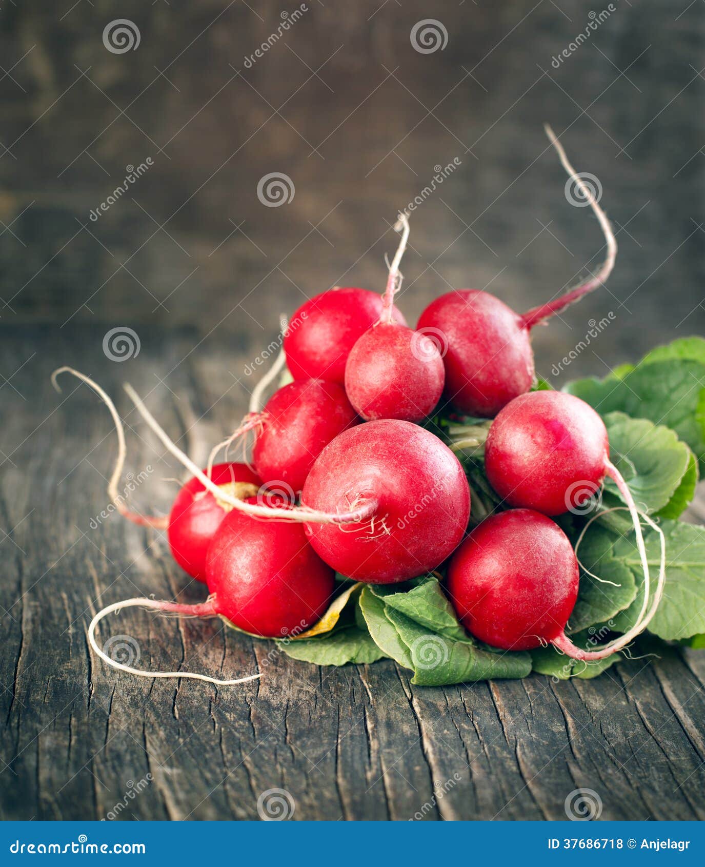 Bunch of fresh radish. stock photo. Image of heap, summer - 37686718