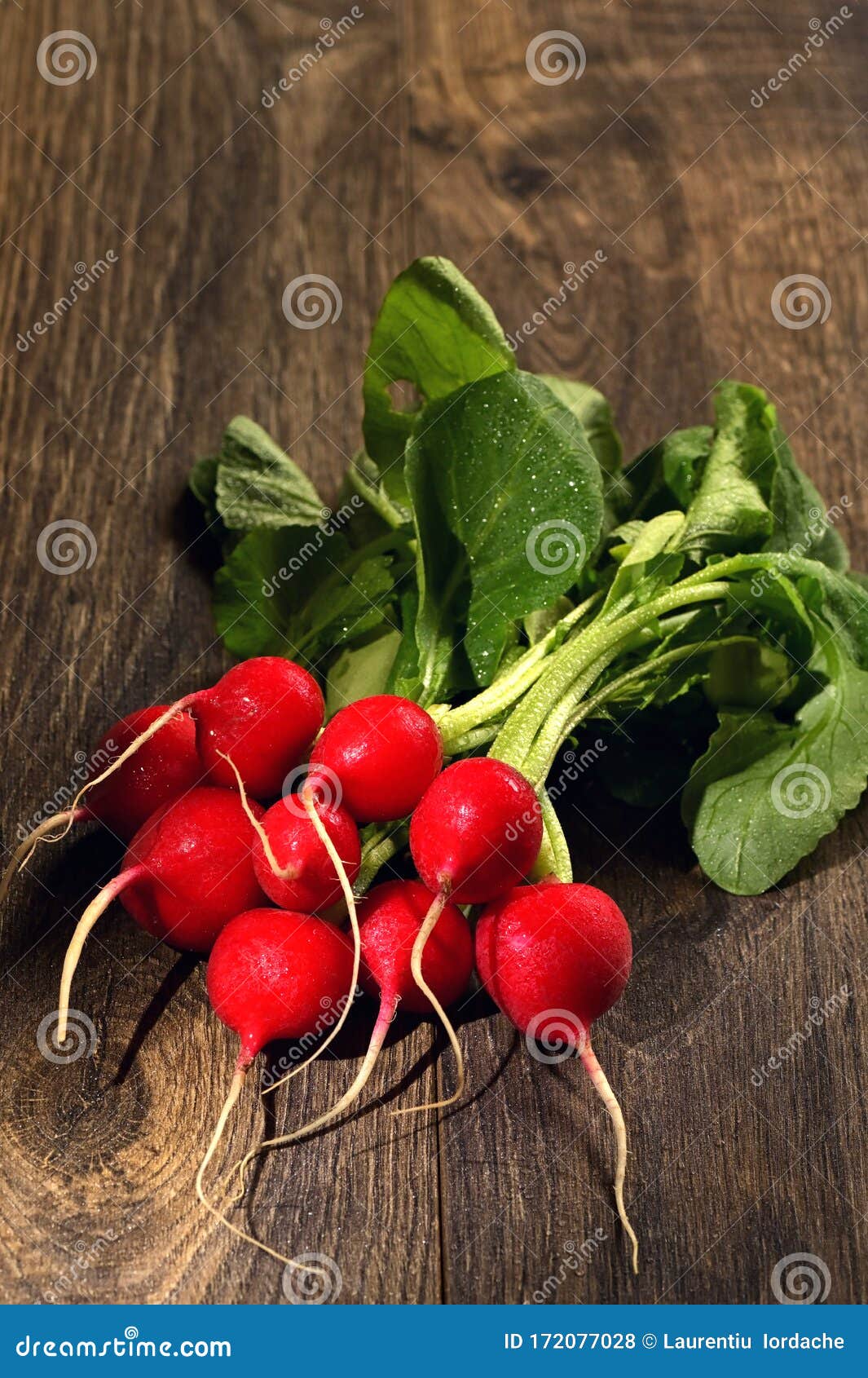 Bunch of Fresh Radish on Wooden Stock Photo - Image of board, knive ...