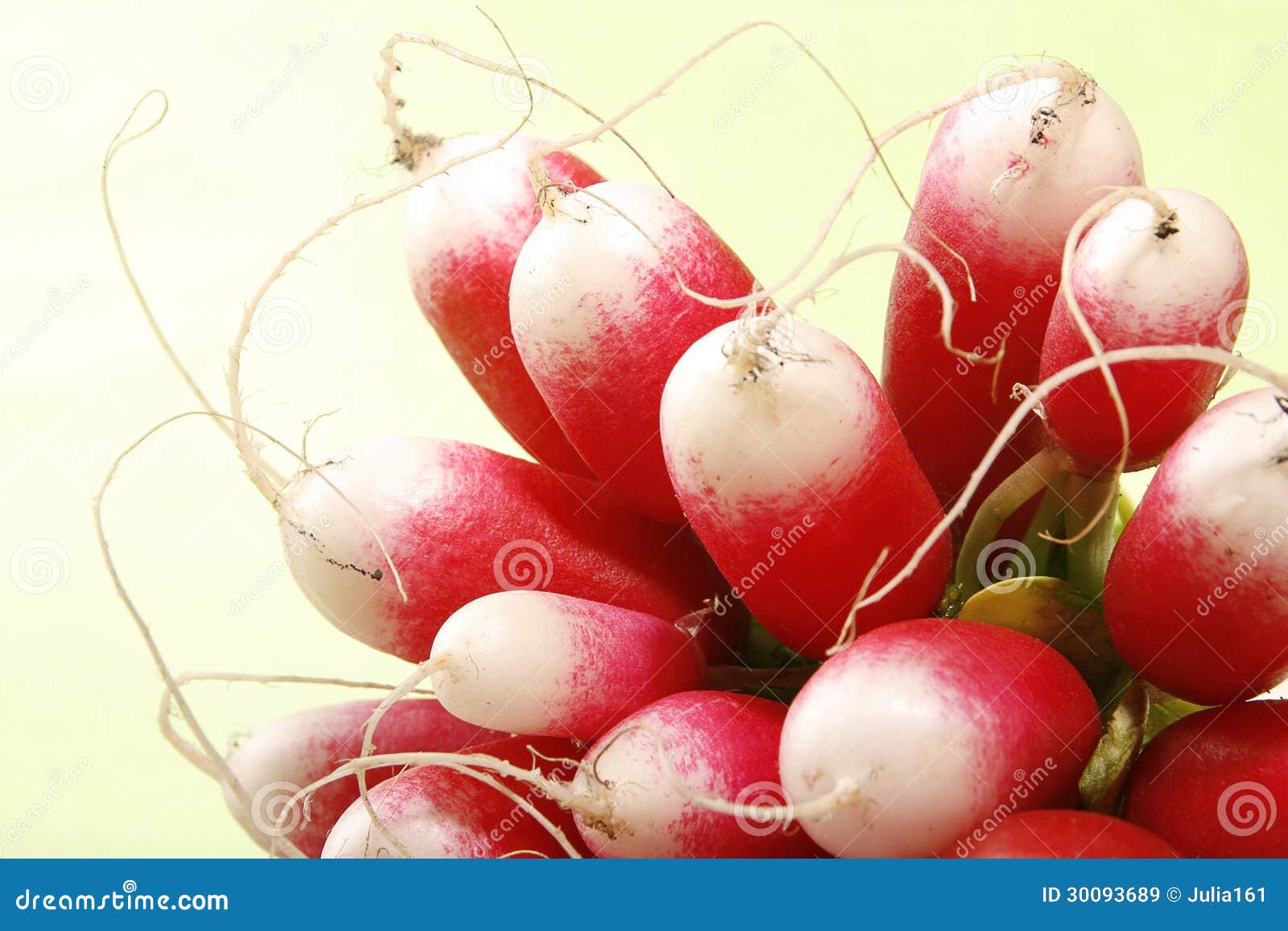 Radish stock image. Image of plate, radish, fresh, diet - 30093689