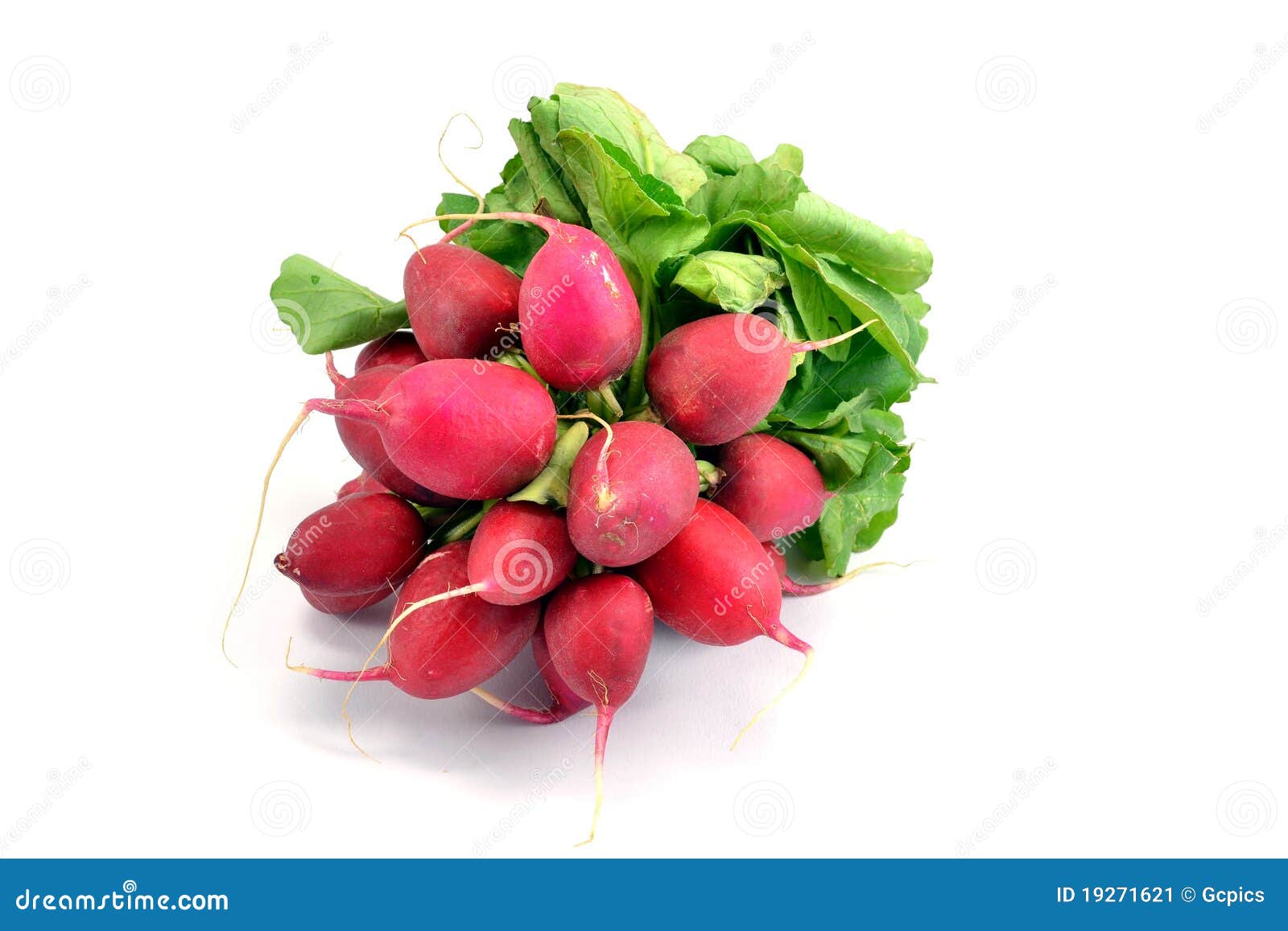 A Bunch of Fresh Radishes with Leaves Stock Image - Image of isolated ...