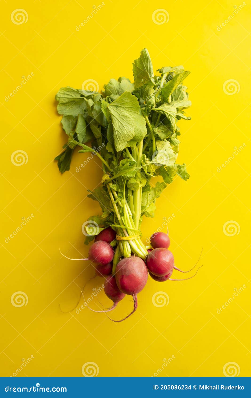 Bunch of Fresh Raw Redish Vegetable with Leafs Isolated Stock Photo ...