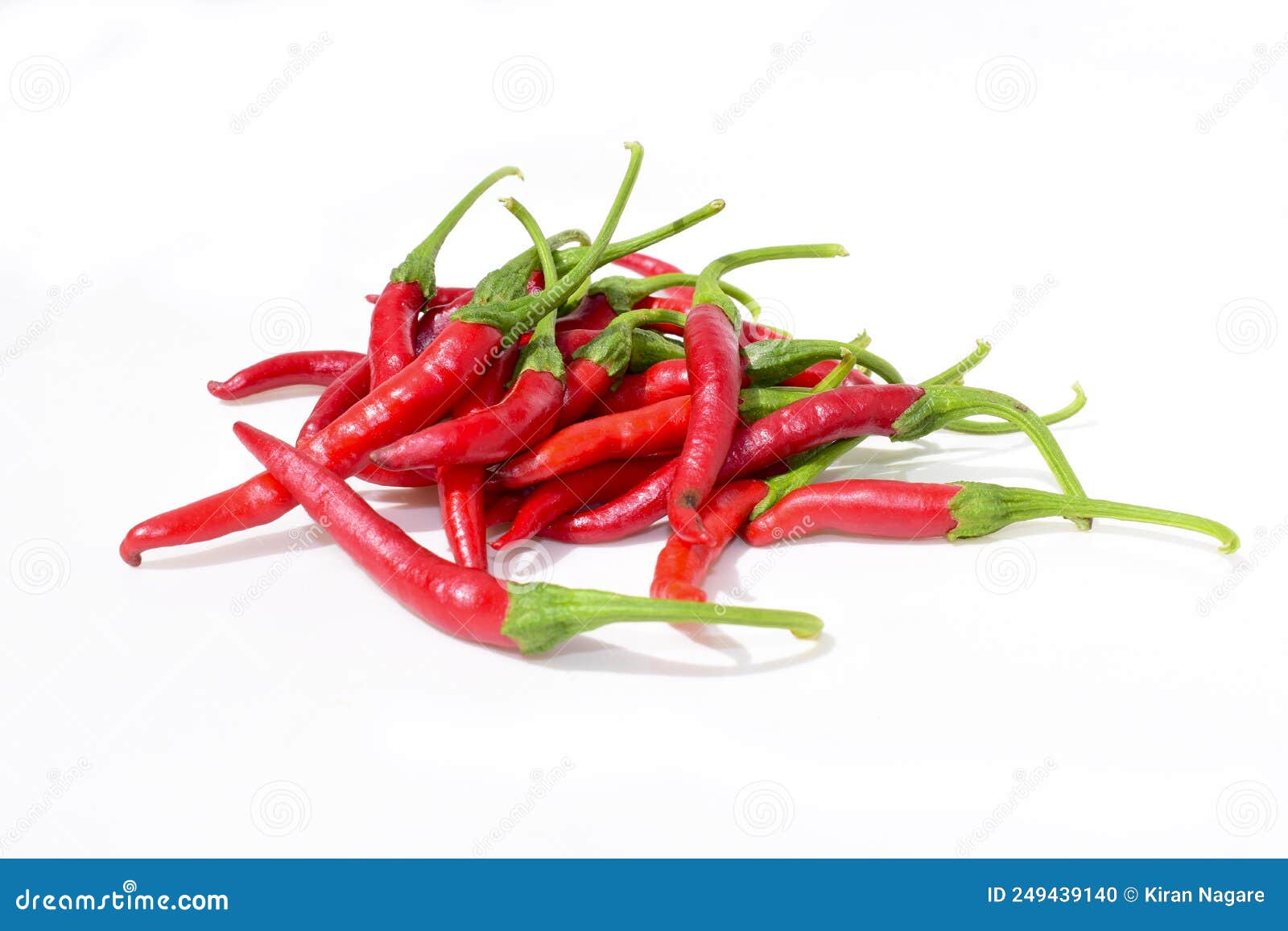 Bunch of fresh red chilli stock photo. Image of chillies - 249439140