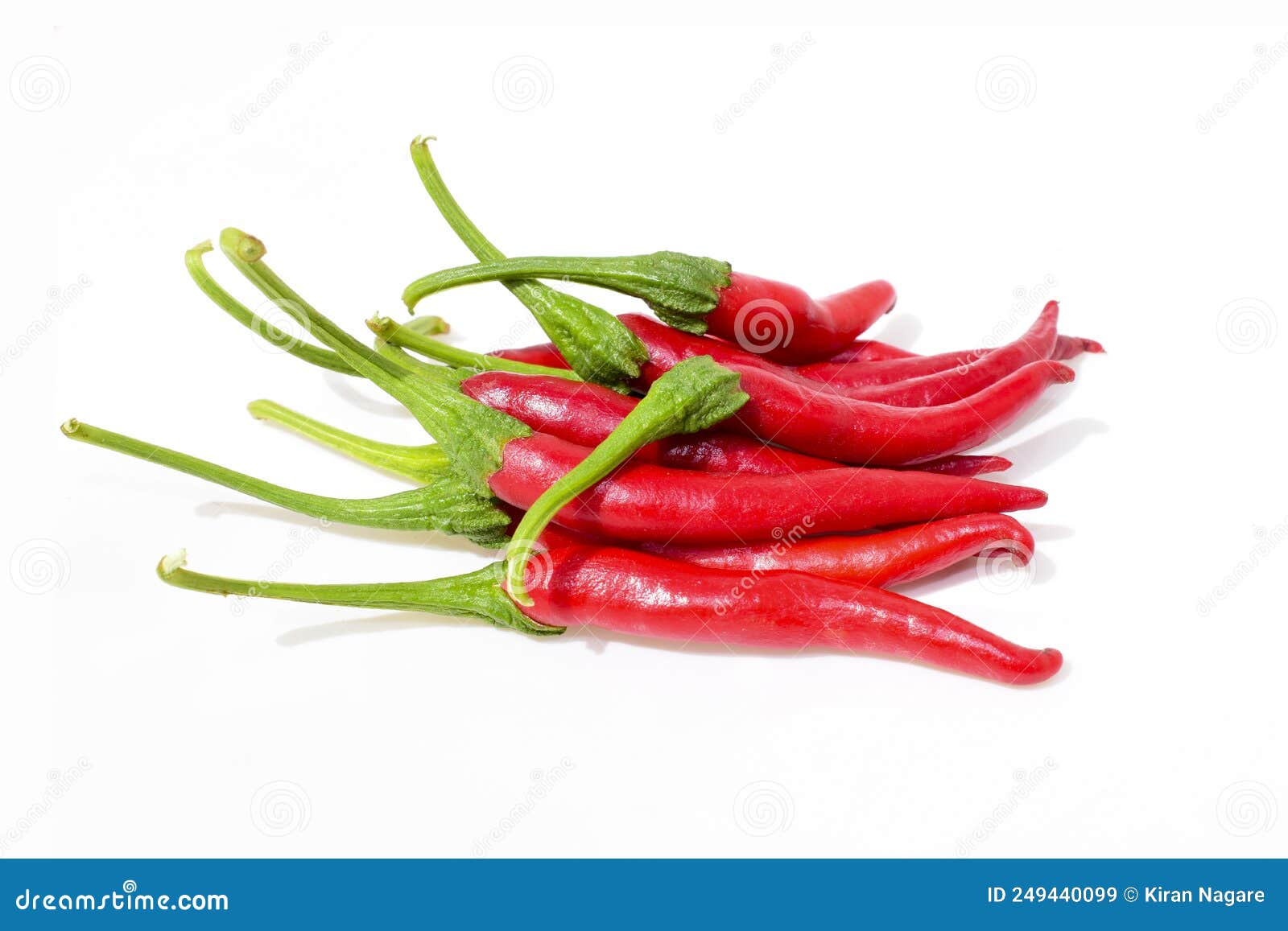 Bunch of fresh red chilli stock image. Image of chili - 249440099