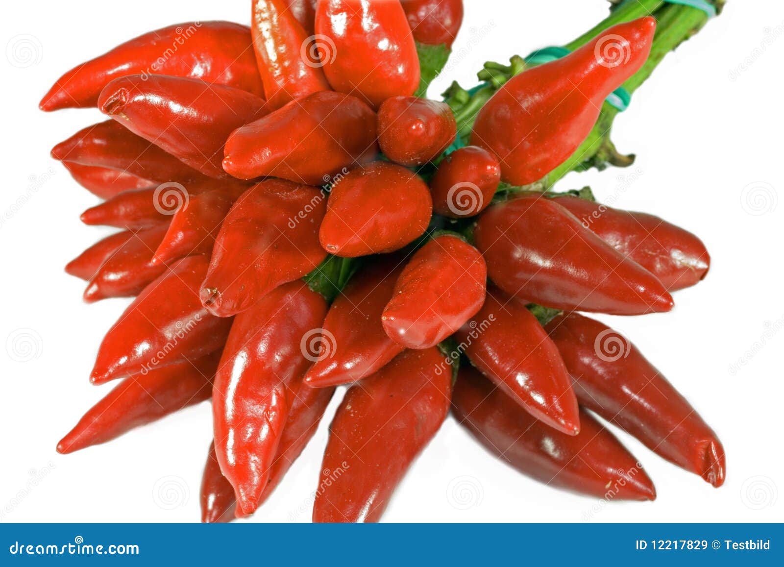 Bunch of Fresh Red Chillies Stock Image - Image of chillies, isolated ...