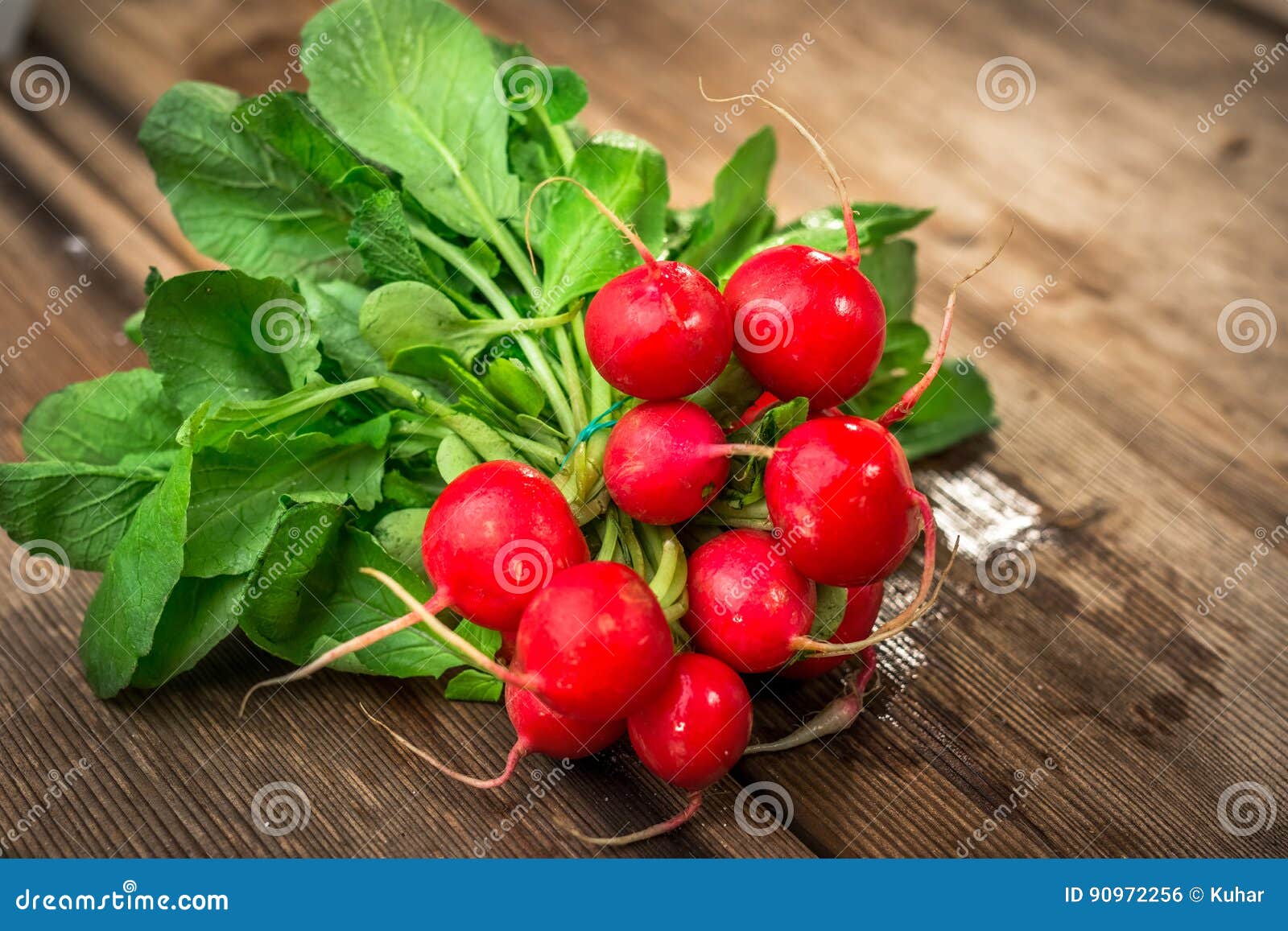 Bunch of Fresh Red Radishes Stock Photo - Image of nature, ingredient ...