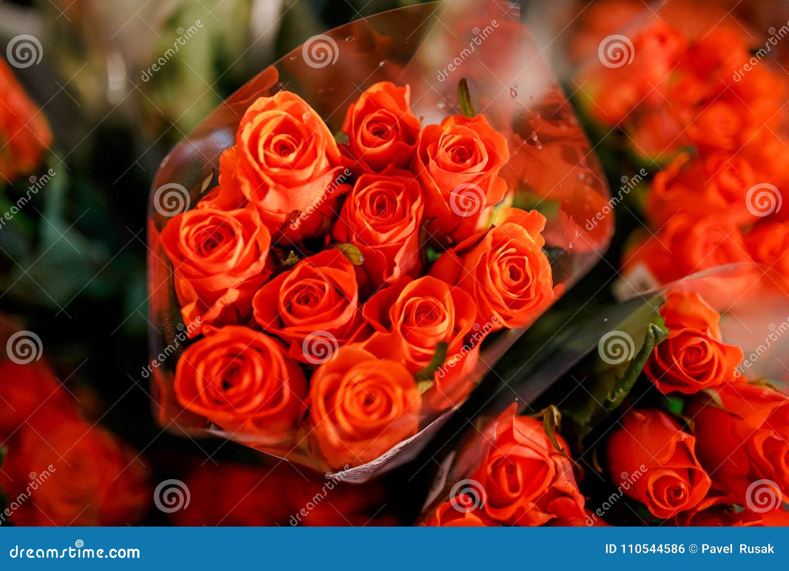 Bunch of Fresh Roses at Flower Shop Stock Photo - Image of bouquet ...