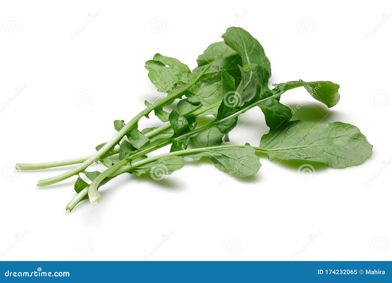Bunch of Fresh Rucola Isolated on White Stock Image - Image of leaves ...