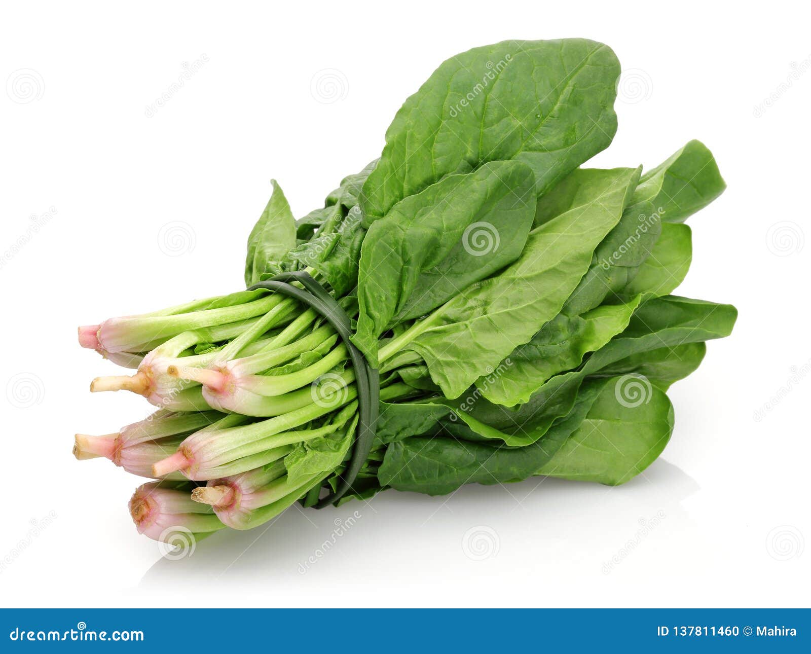 Bunch of Fresh Spinach on White Background Stock Photo - Image of pile ...