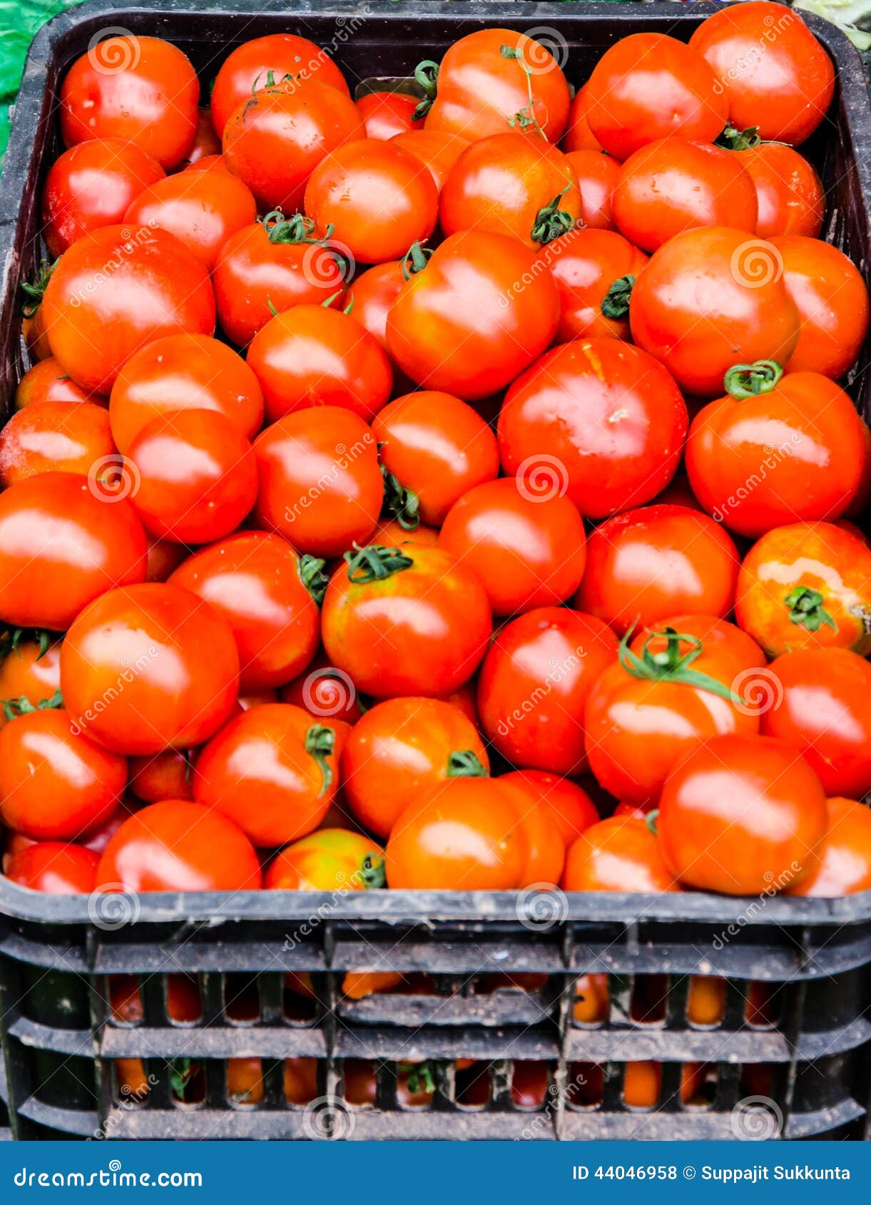 Bunch of Fresh Tomatoes in Basket Stock Photo - Image of market ...