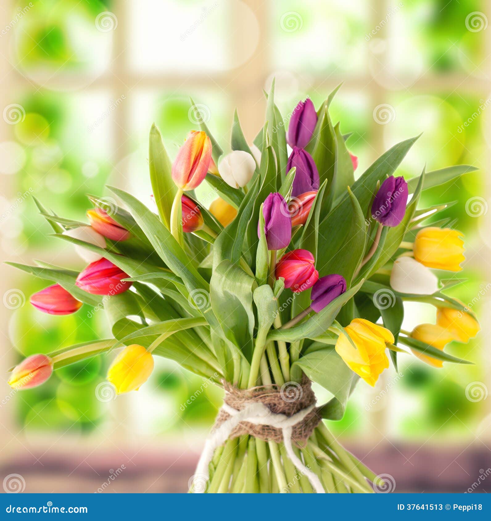 Bunch of fresh tulips stock image. Image of decorative - 37641513
