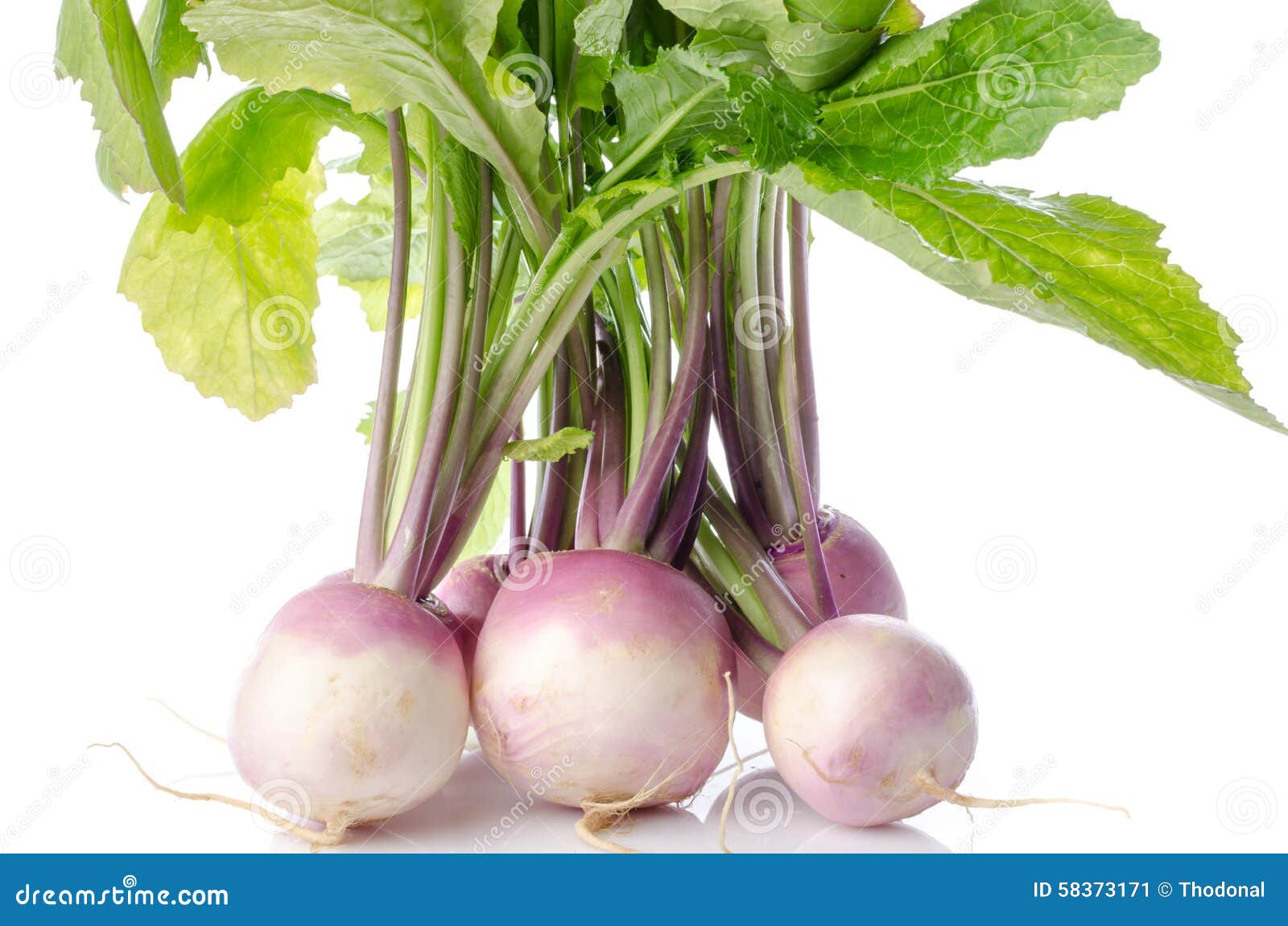 Bunch of fresh turnips stock image. Image of health, plant - 58373171