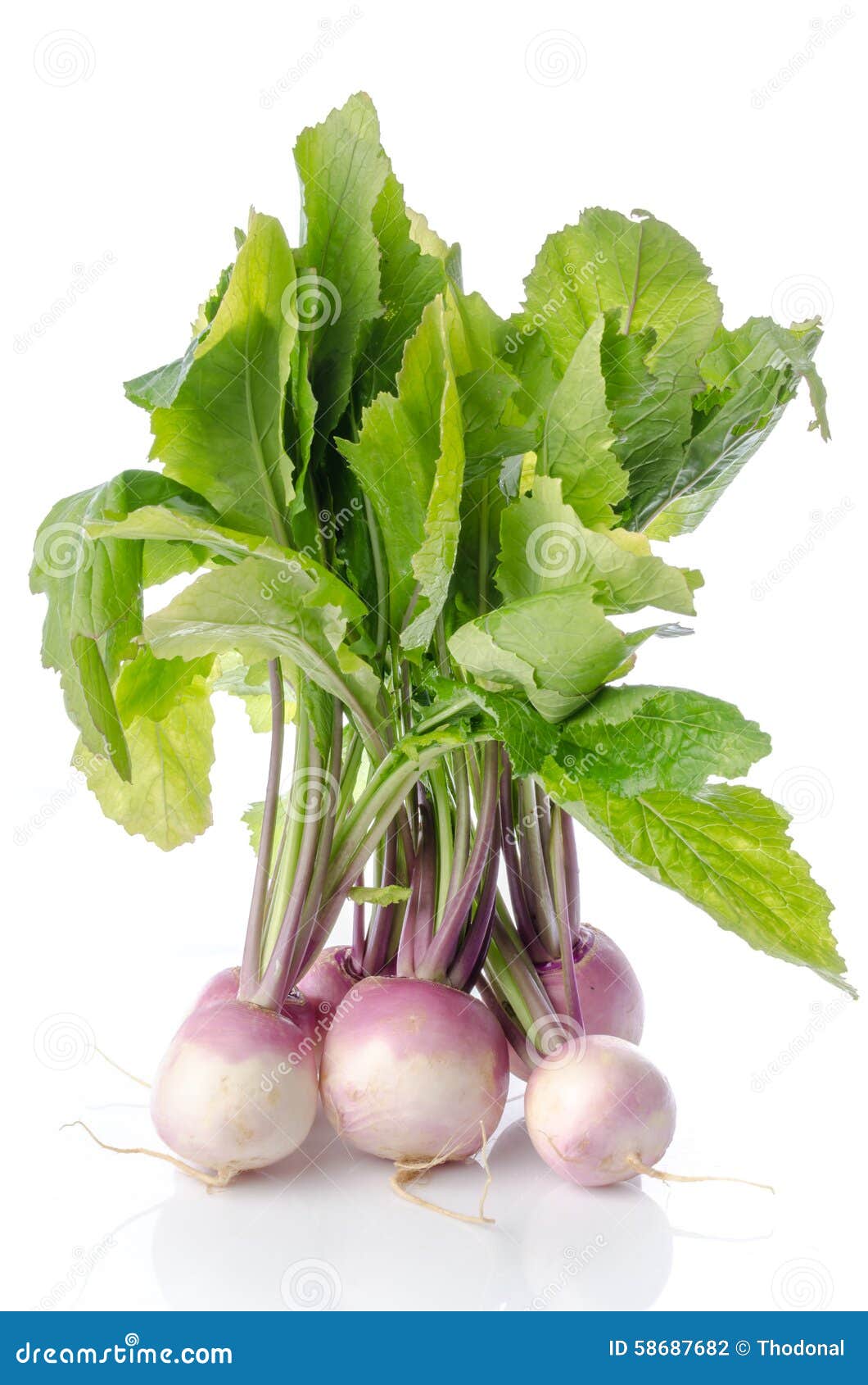 Bunch of fresh turnips stock photo. Image of white, turnips - 58687682