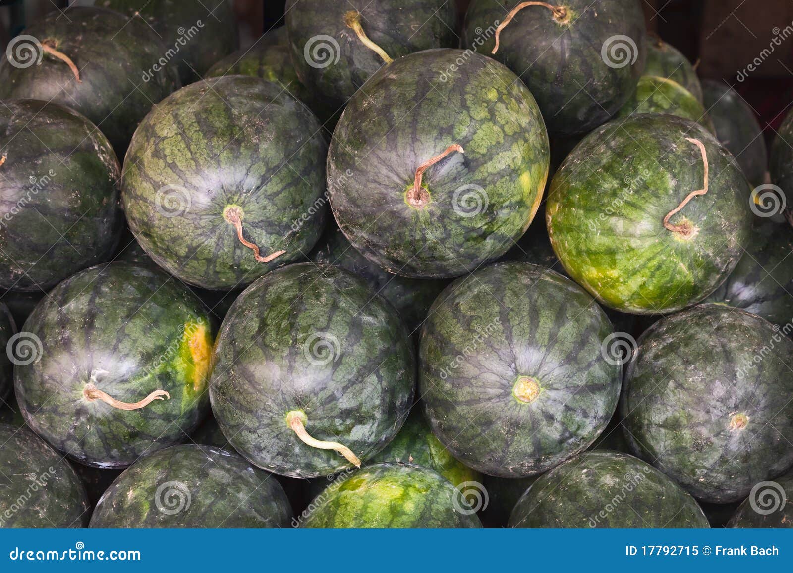 Bunch of fresh watermelons stock image. Image of stall - 17792715