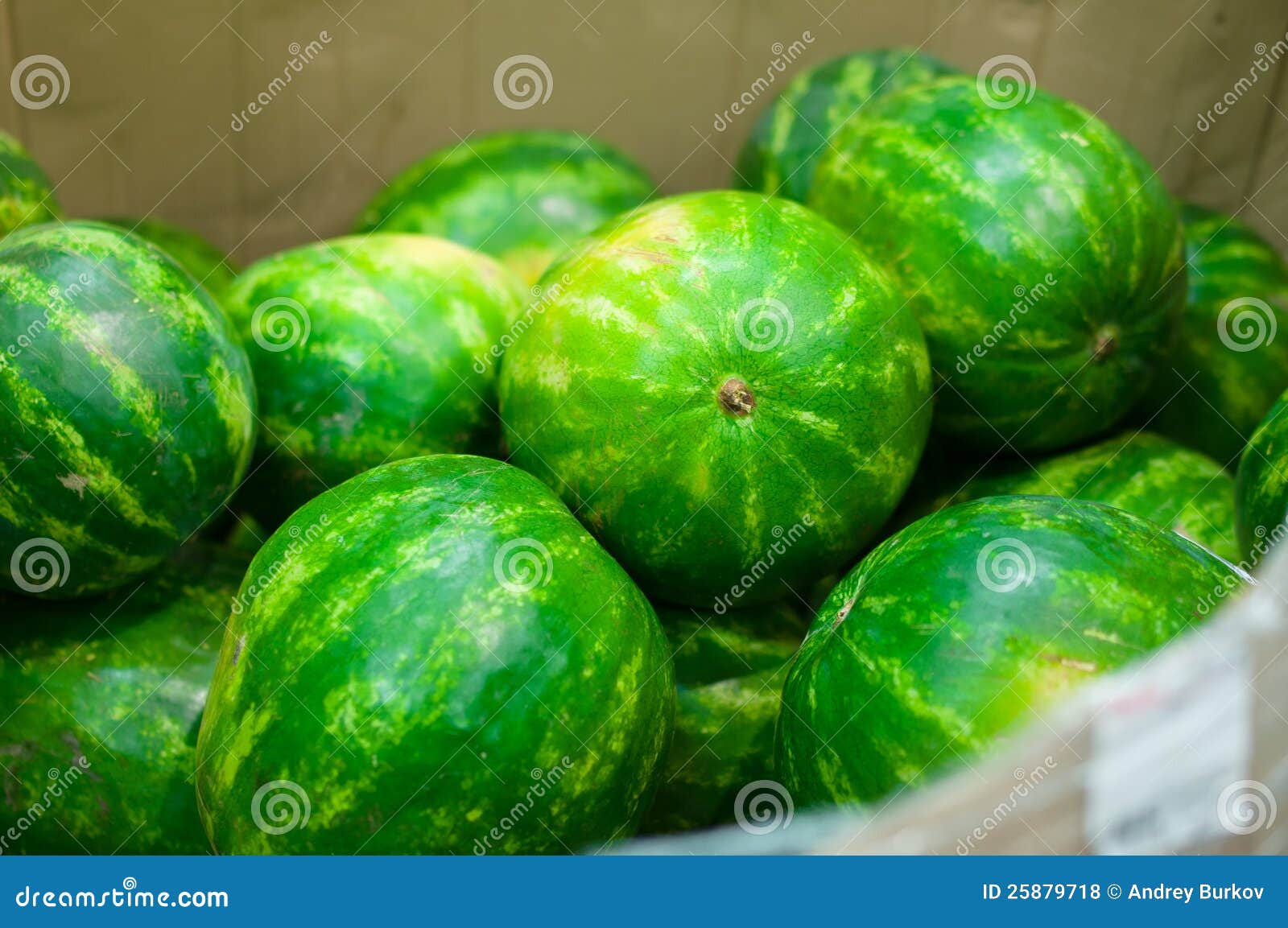 Bunch of Fresh Watermelons in Supermarket Stock Photo - Image of ...