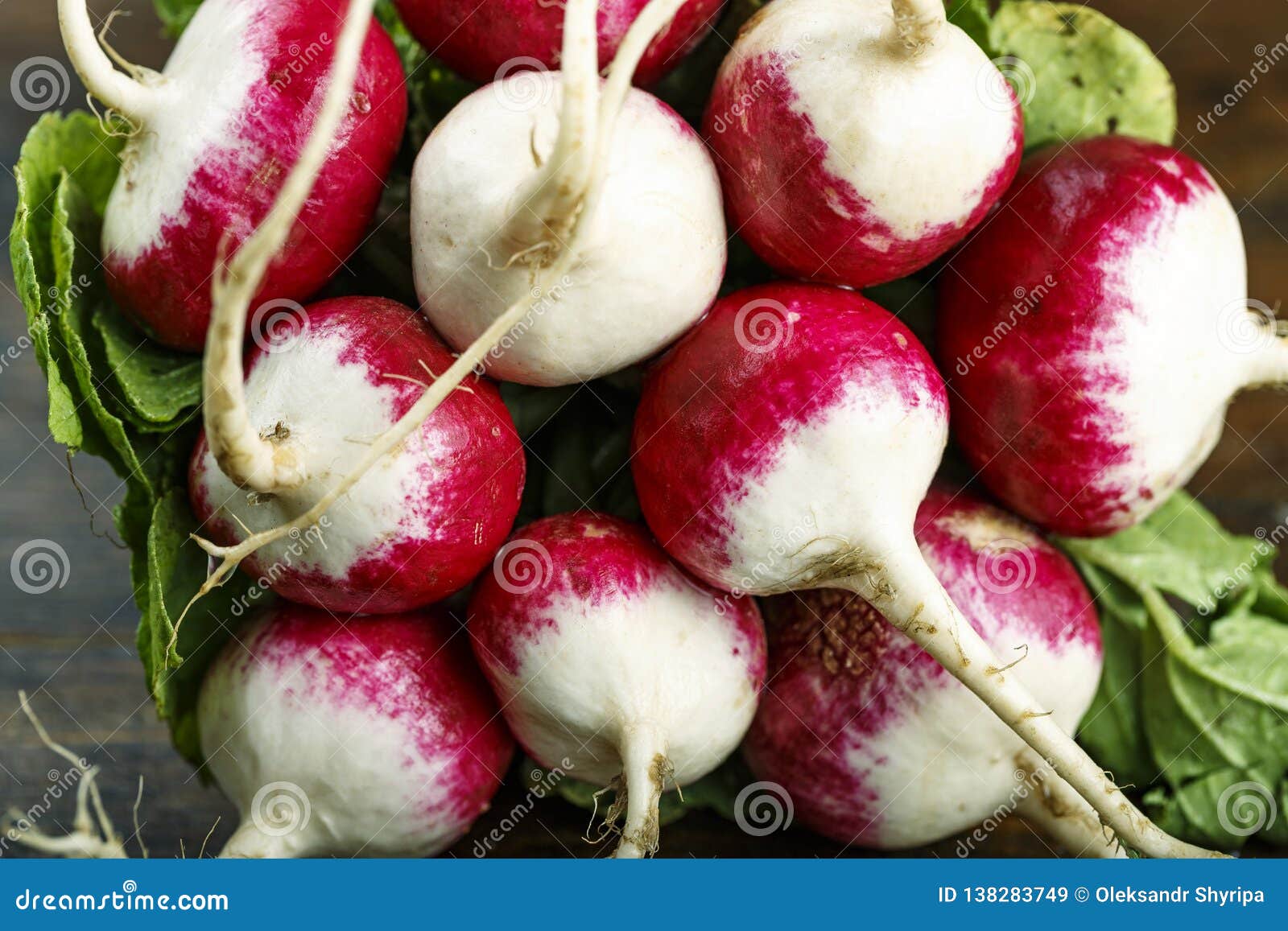 Bunch of Fresh Young Radishes Stock Image - Image of market, crop ...