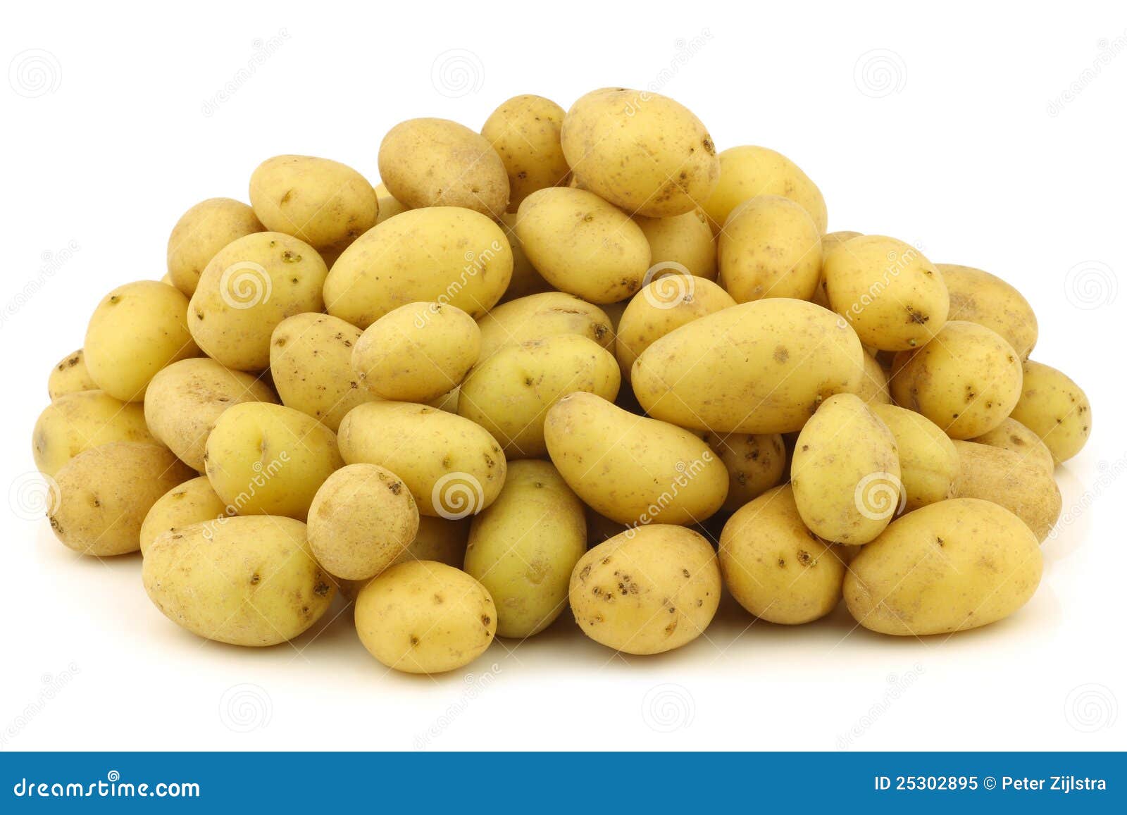 Bunch of Freshly Harvested Dutch Seed Potatoes Stock Image - Image of ...