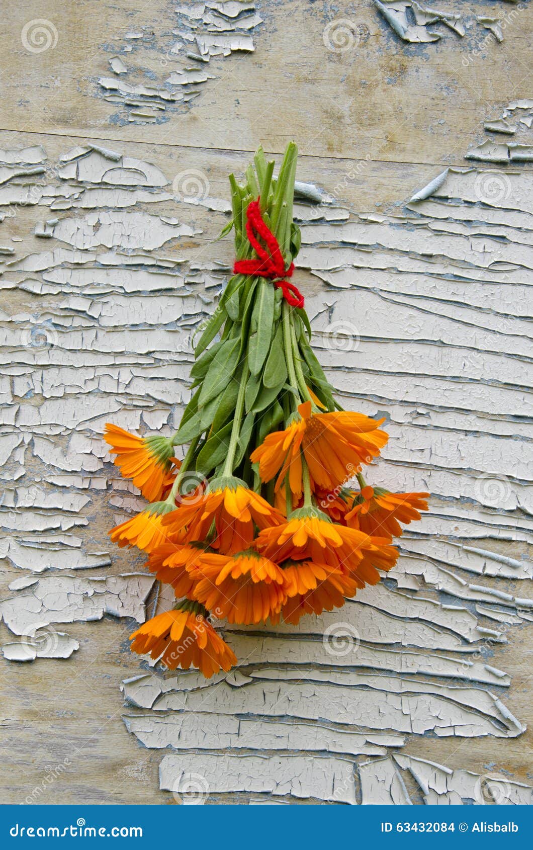 Bunch Freshly Picked Calendula Hanging on Peeling Background Stock ...