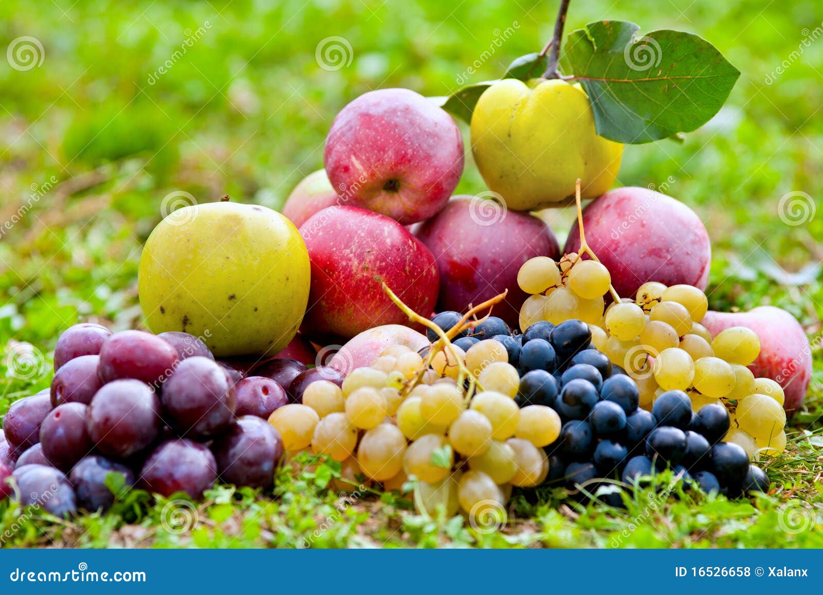 Bunch Of Fruits Outdoor Royalty Free Stock Photos - Image: 16526658