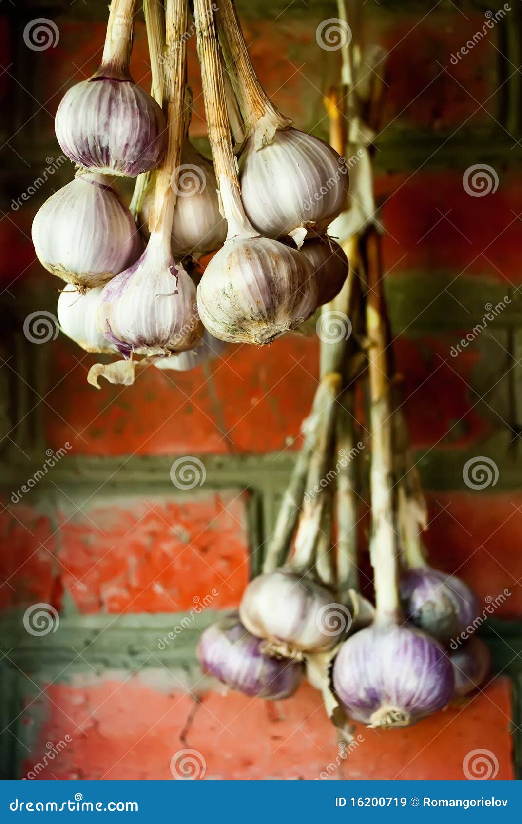 Bunch of garlic stock image. Image of food, garlic, wall - 16200719