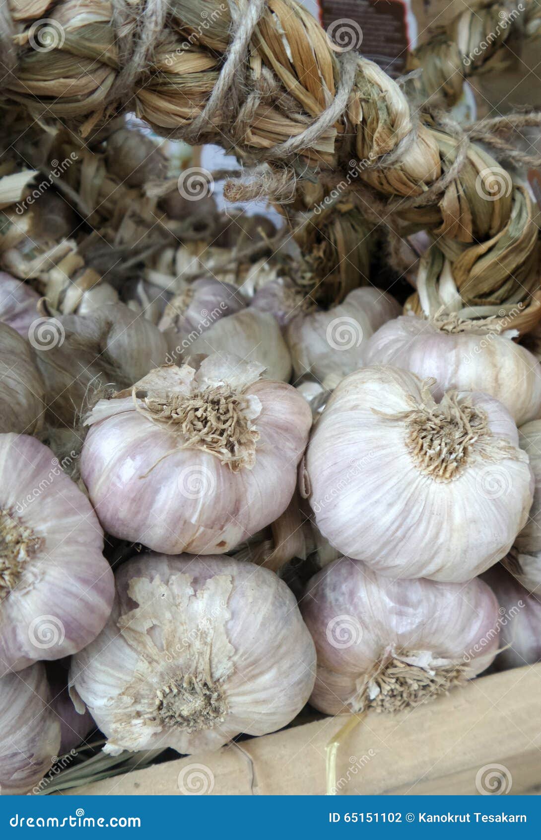 Bunch of garlic in basket stock photo. Image of basket - 65151102