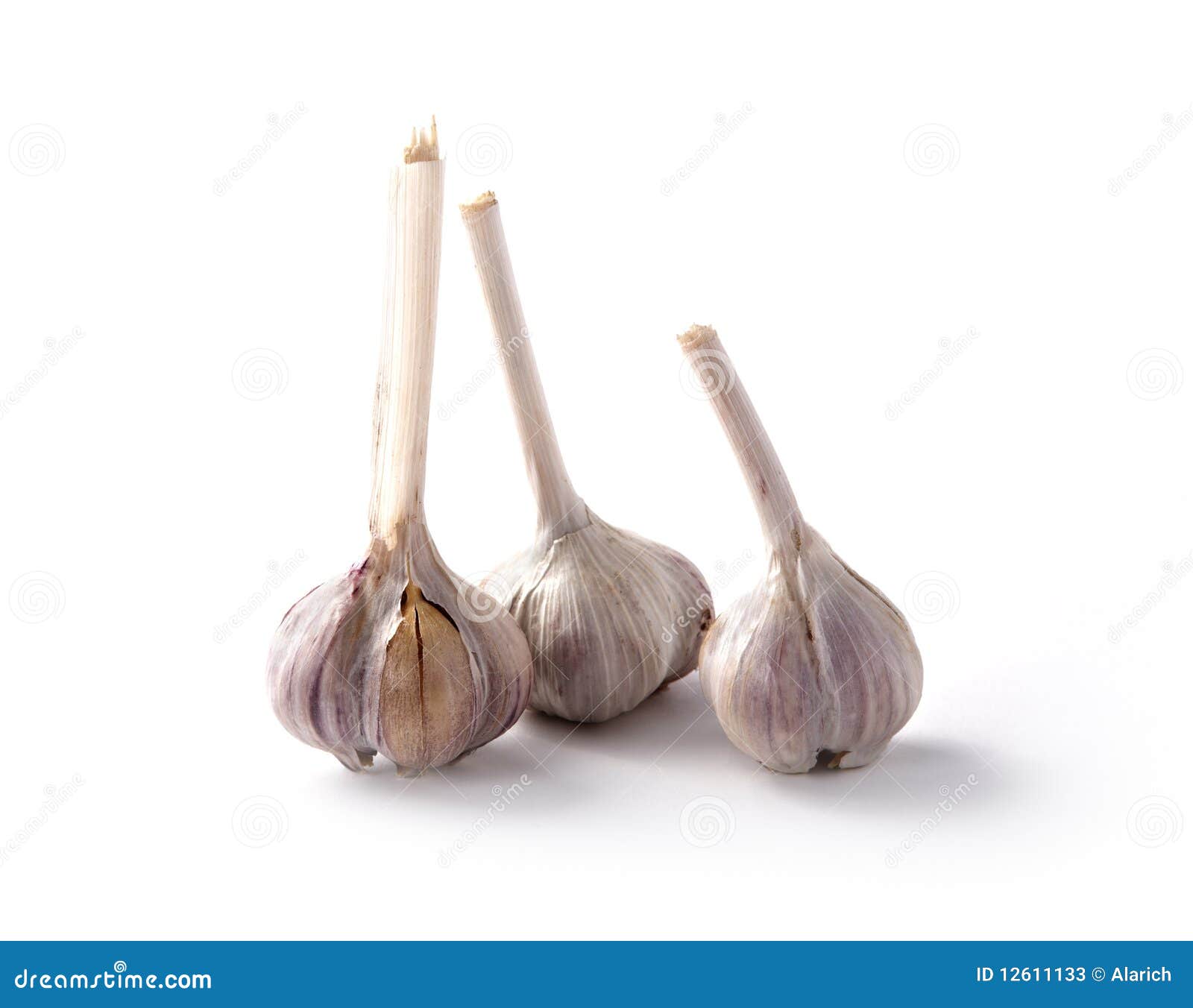 Bunch garlic isolated stock image. Image of nature, healthy - 12611133