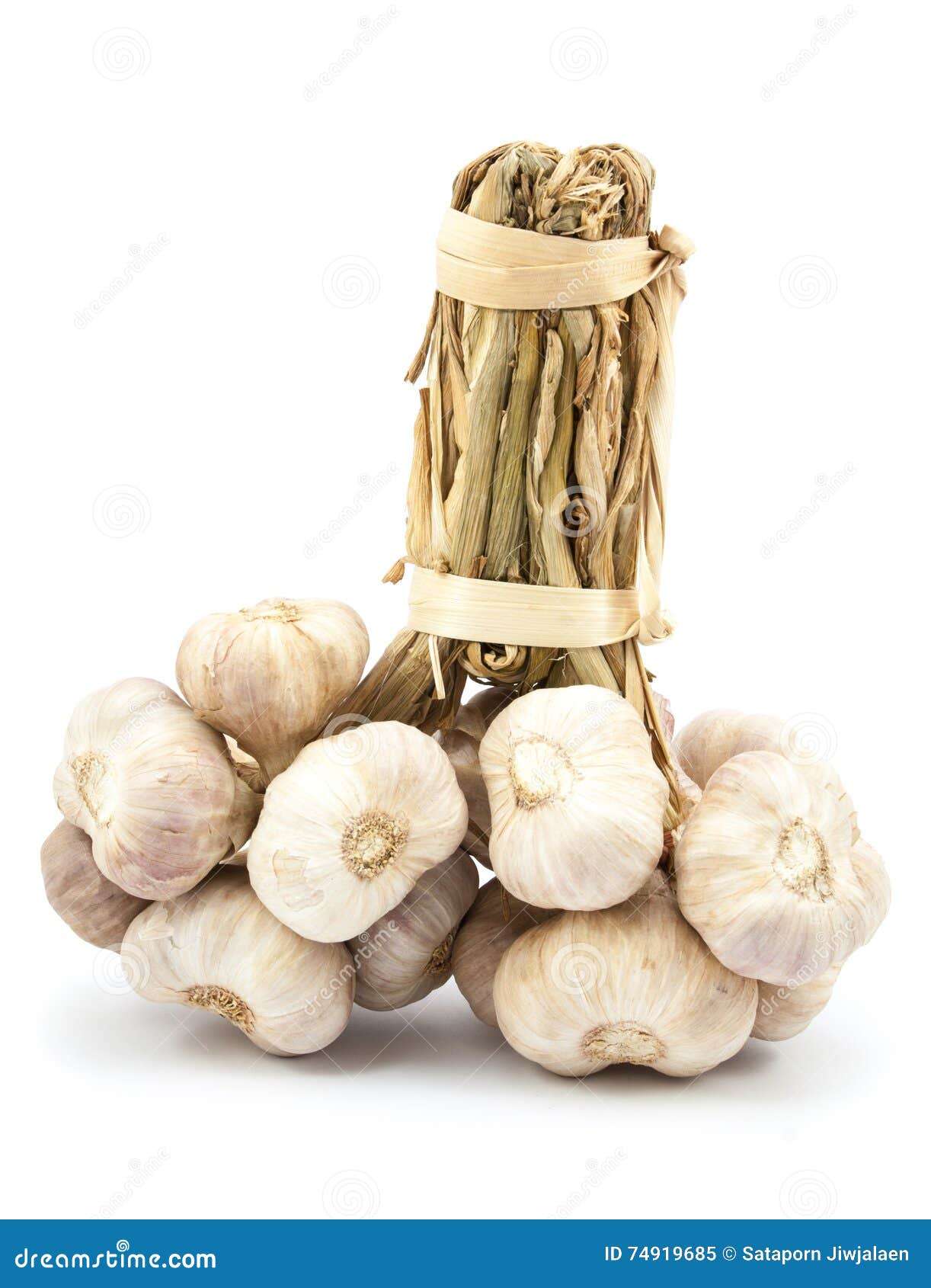 Bunch of garlic isolated stock image. Image of green - 74919685